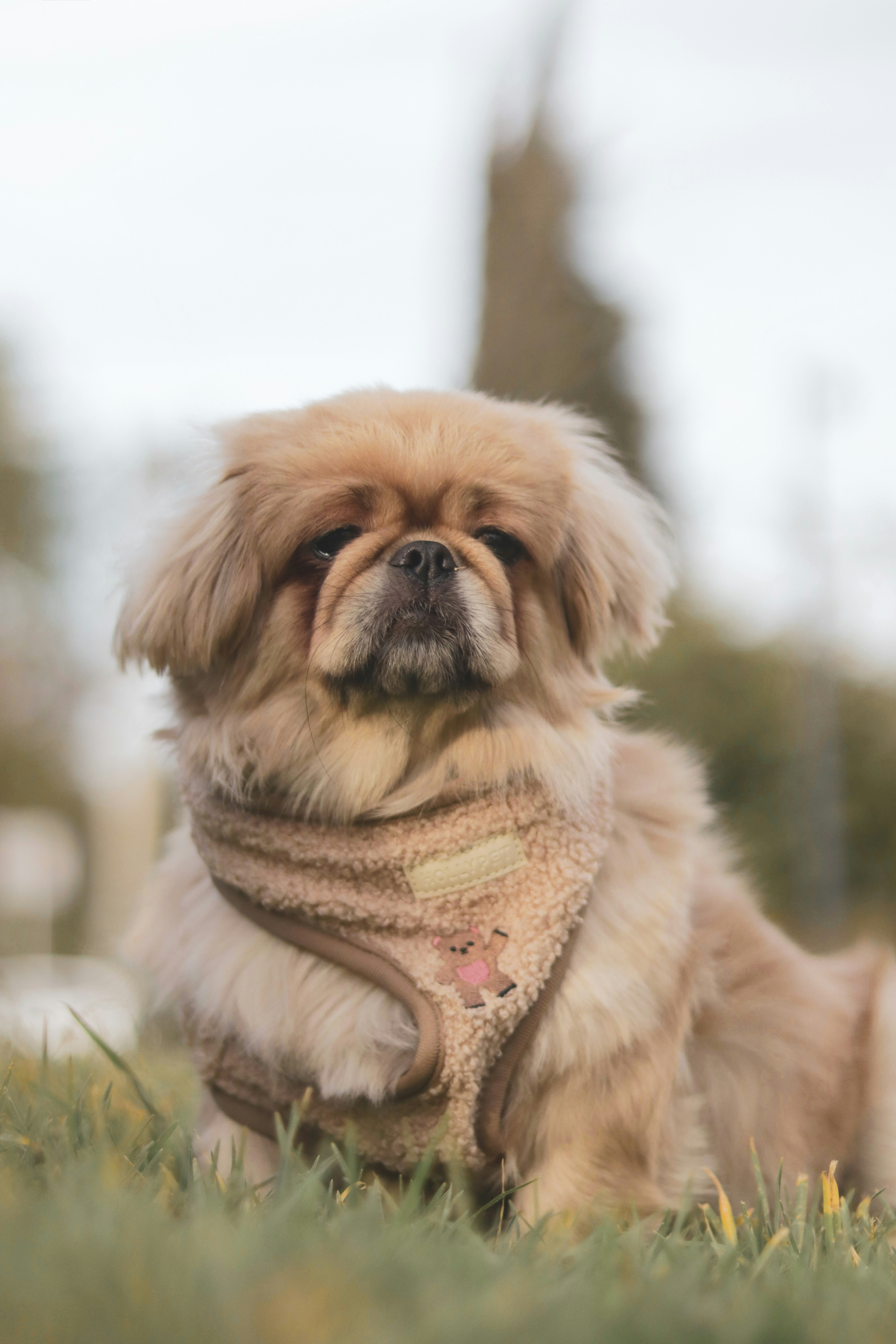 Canon EOS M50 Mark II Sample Shots