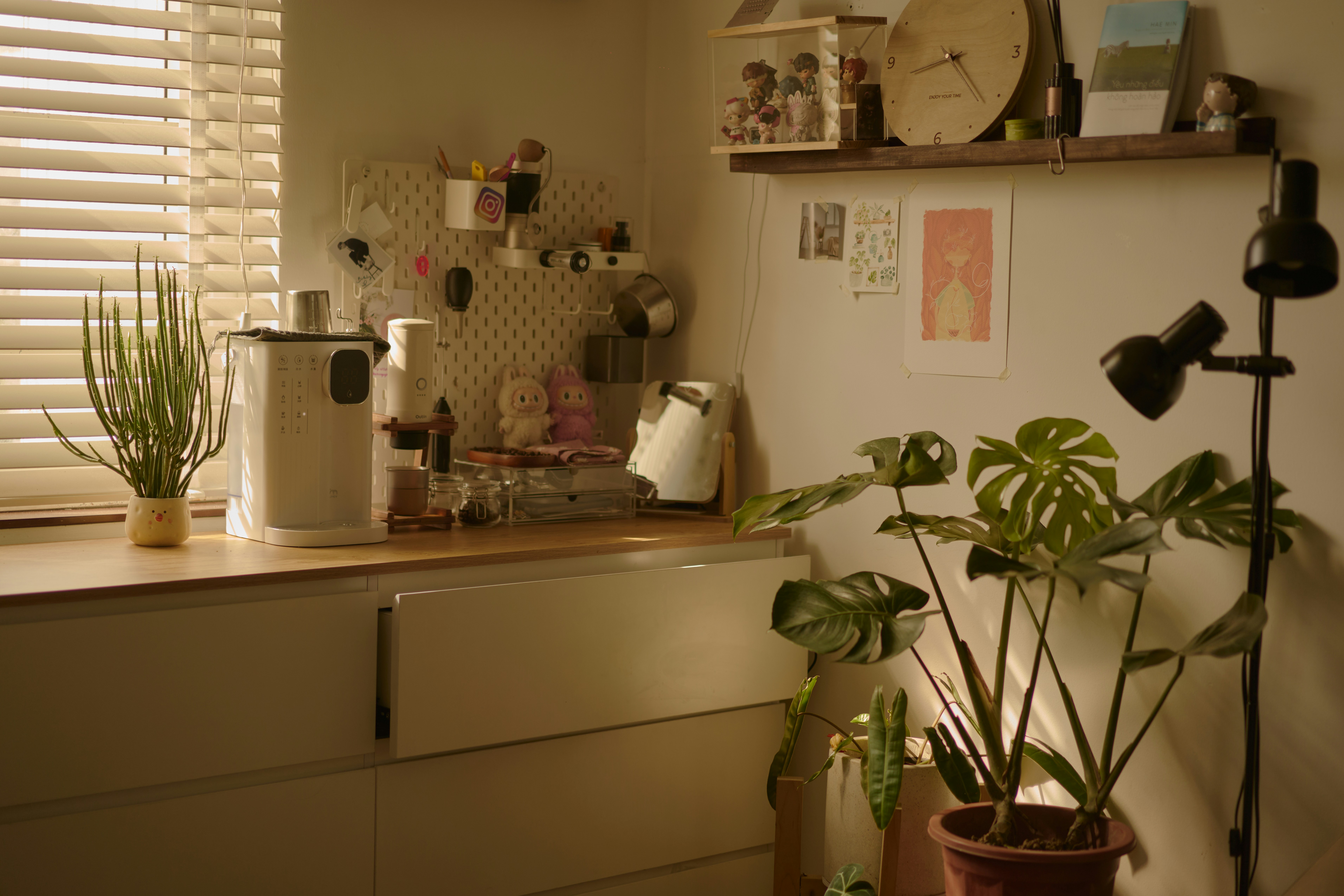 Sunlit Kitchen Sanctuary with Verdant Breathing Plants