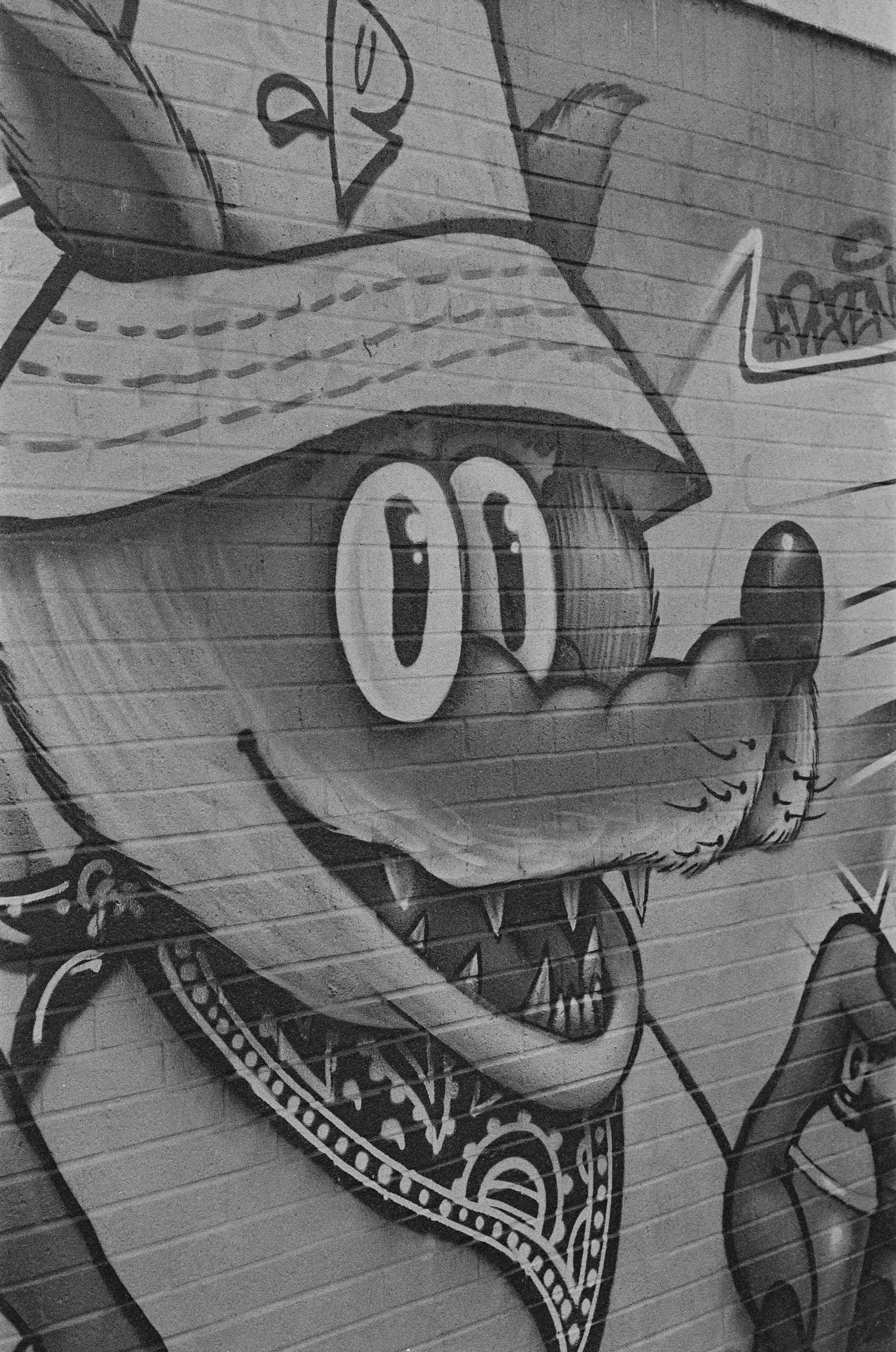 Grayscale graffiti of a cartoon fox in a bucket hat. photo – Free Fox ...
