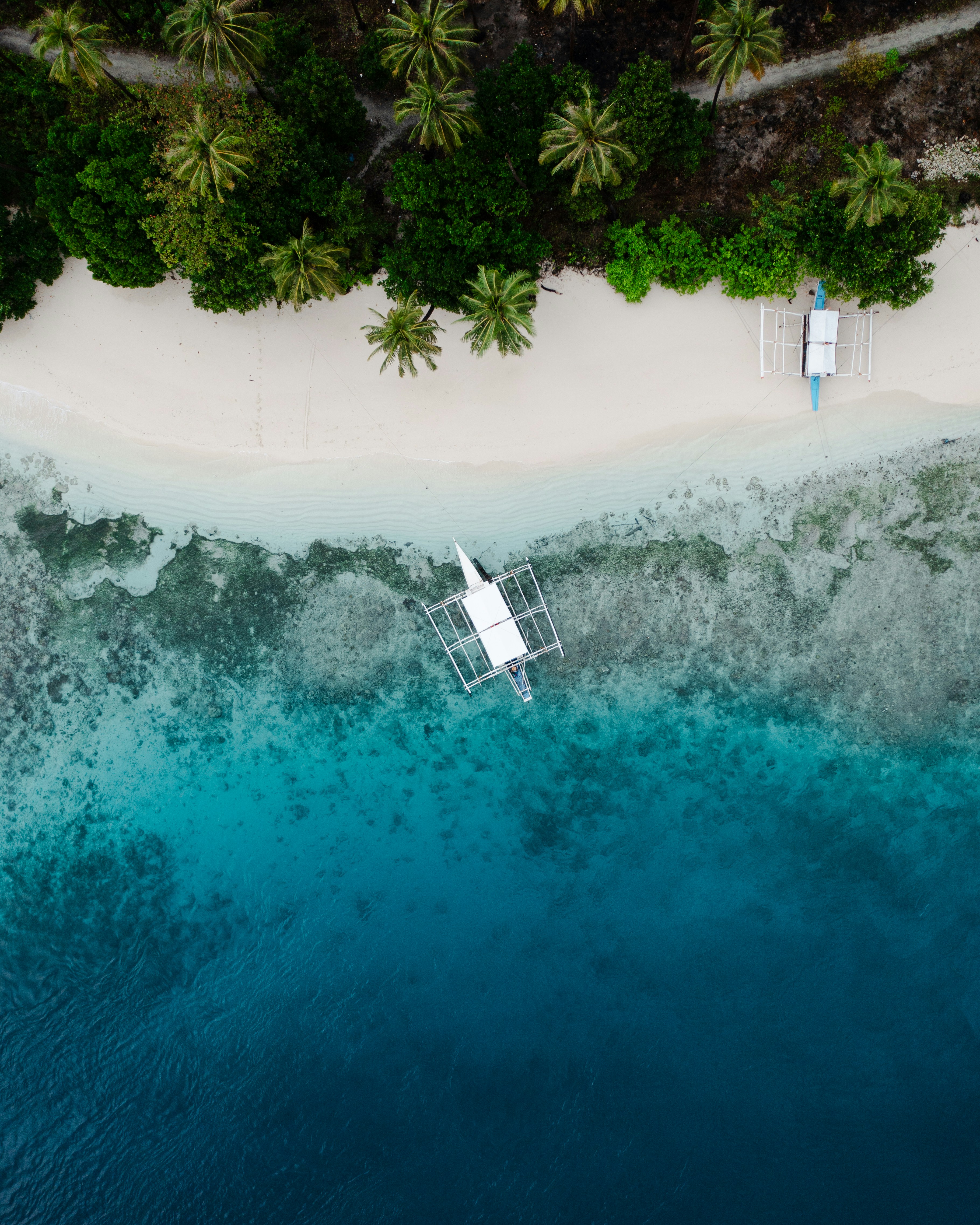 Tropical Aerial: Palm-fringed Shoreline Framed by Turquoise Waters