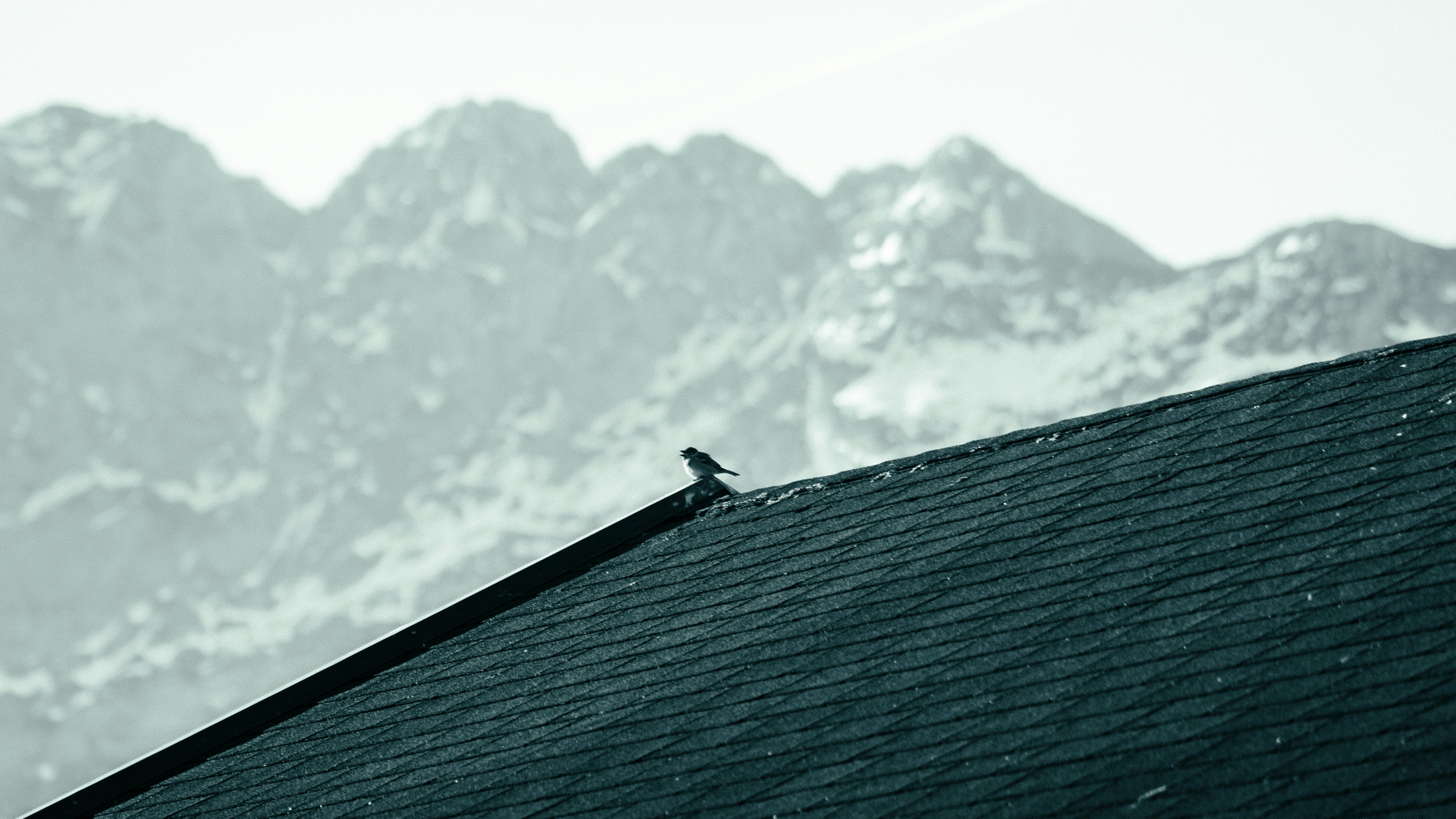 Ridge Line Sentinel: A lone bird perched above a slanted roof against alpine silhouettes