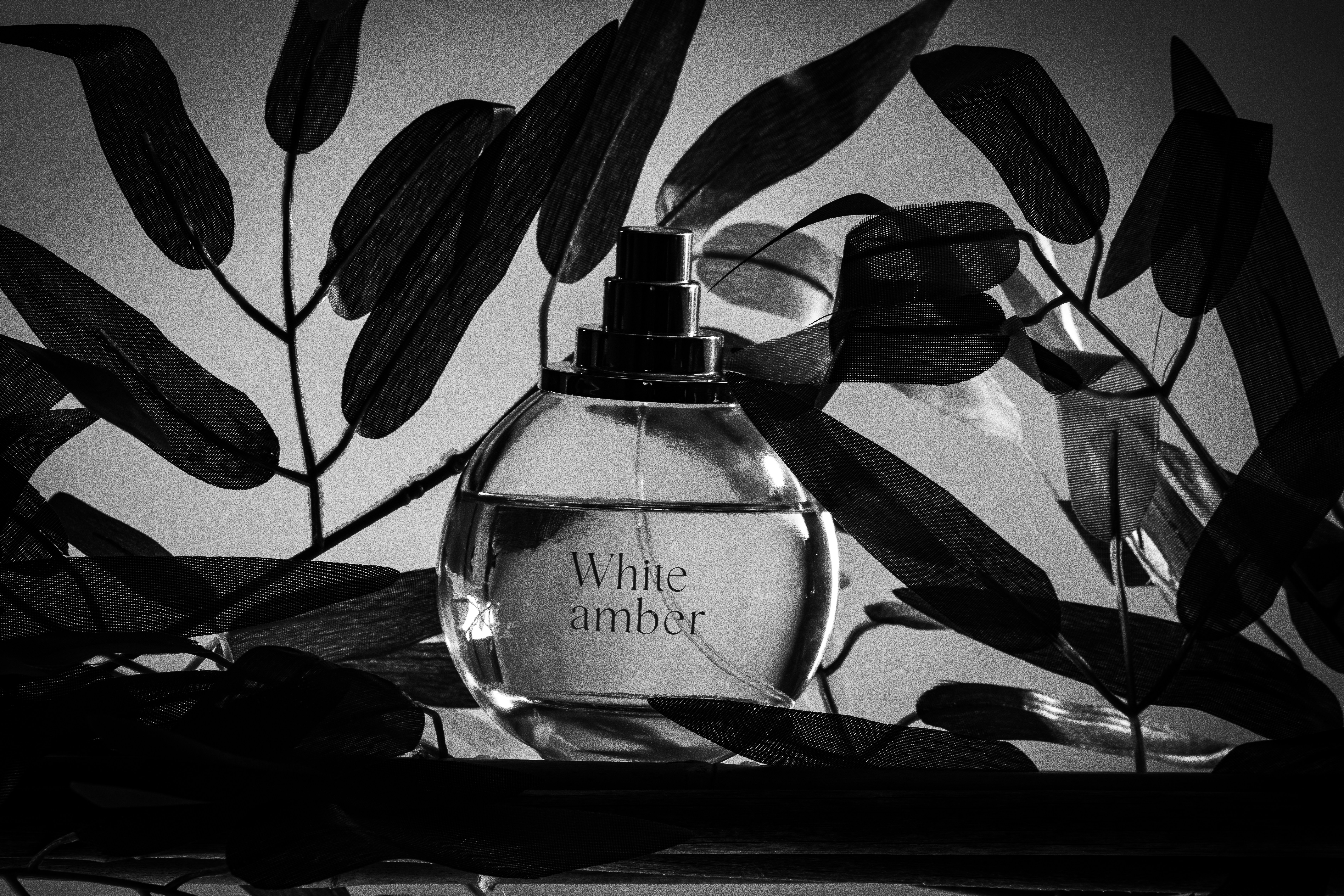 Fragrance in Focus: The Glass Vessel with Leaves