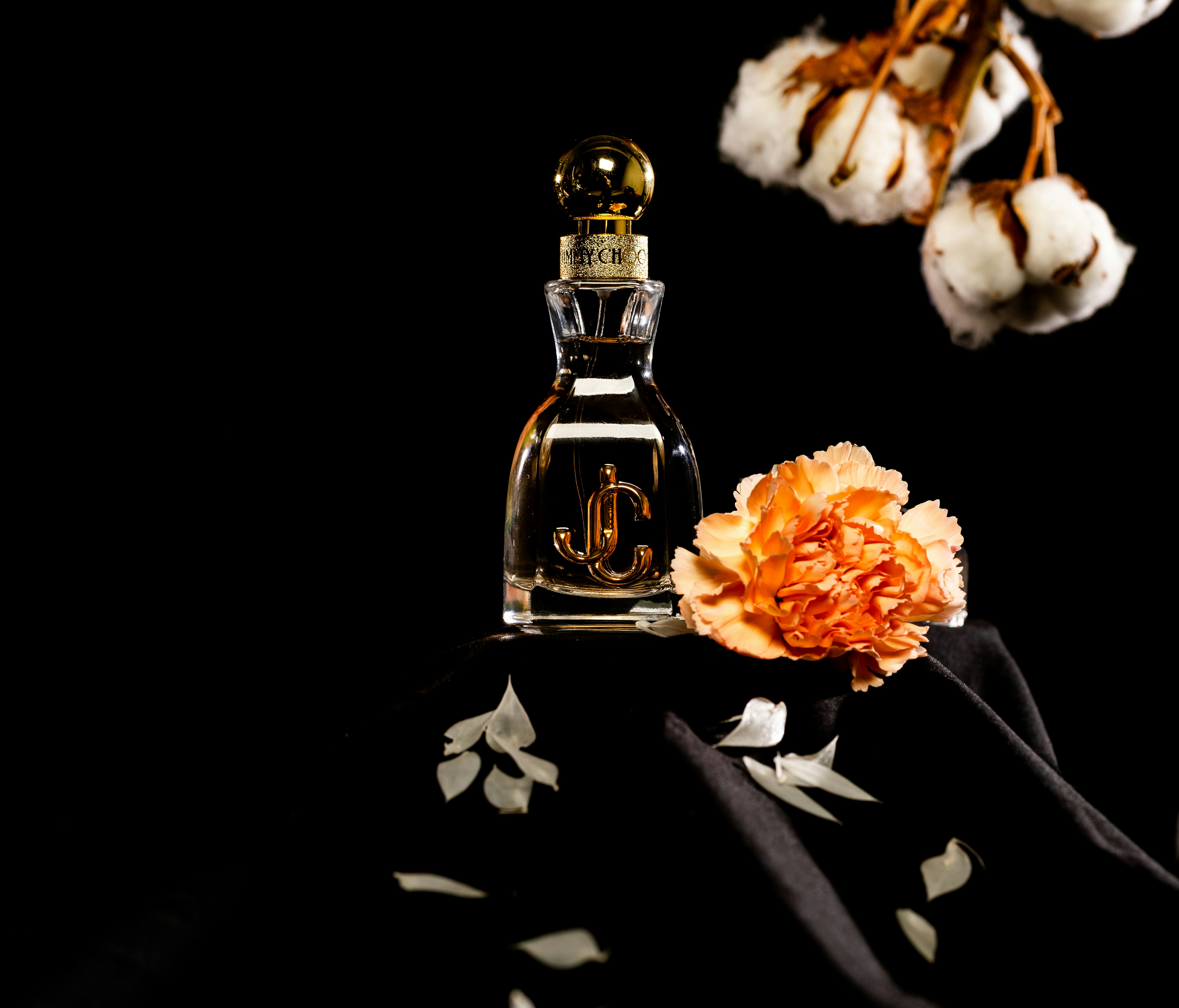 Crystal Vessel in Velvet Night with Cotton Bloom