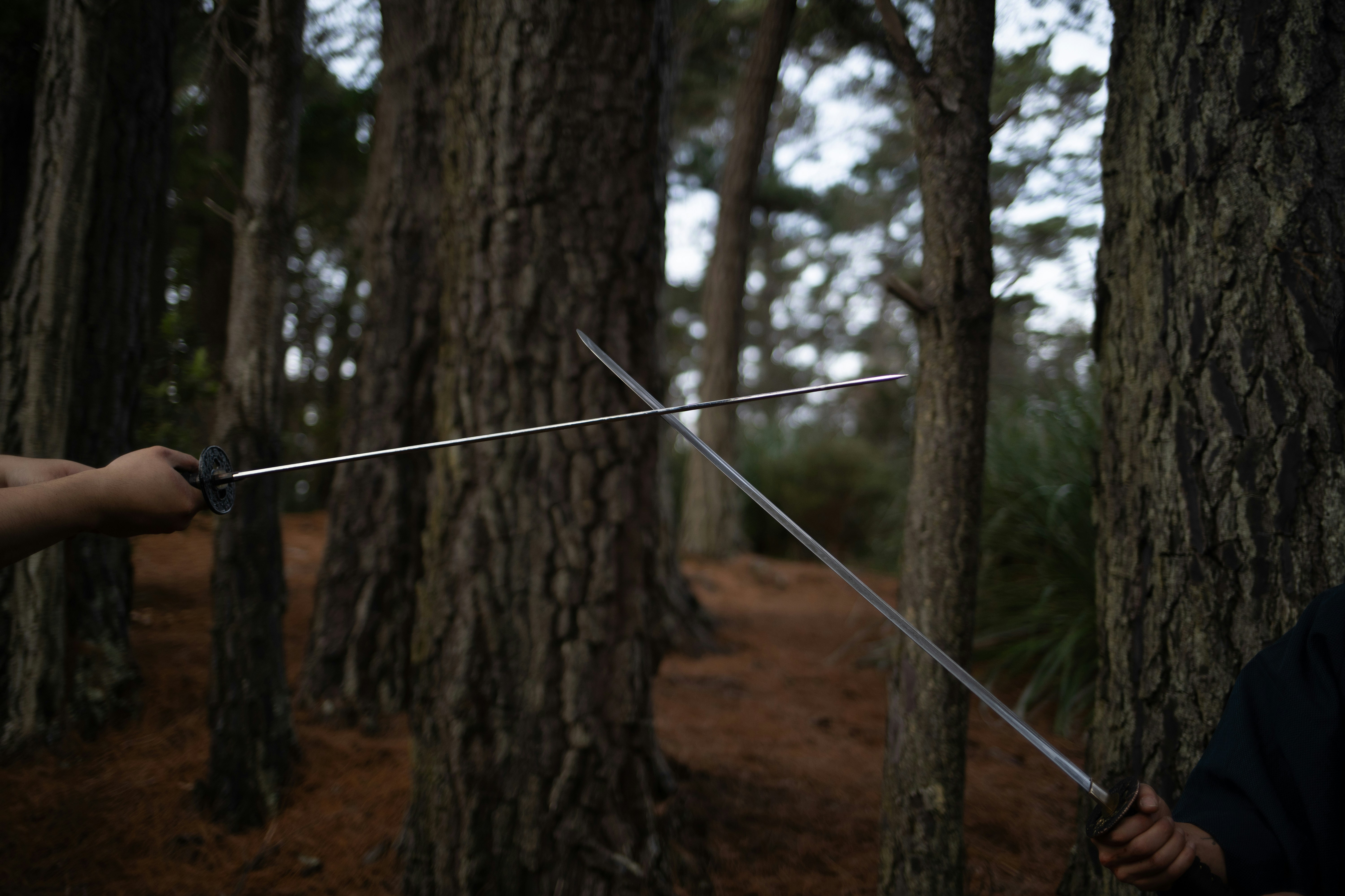 Crossed blades in a pine grove