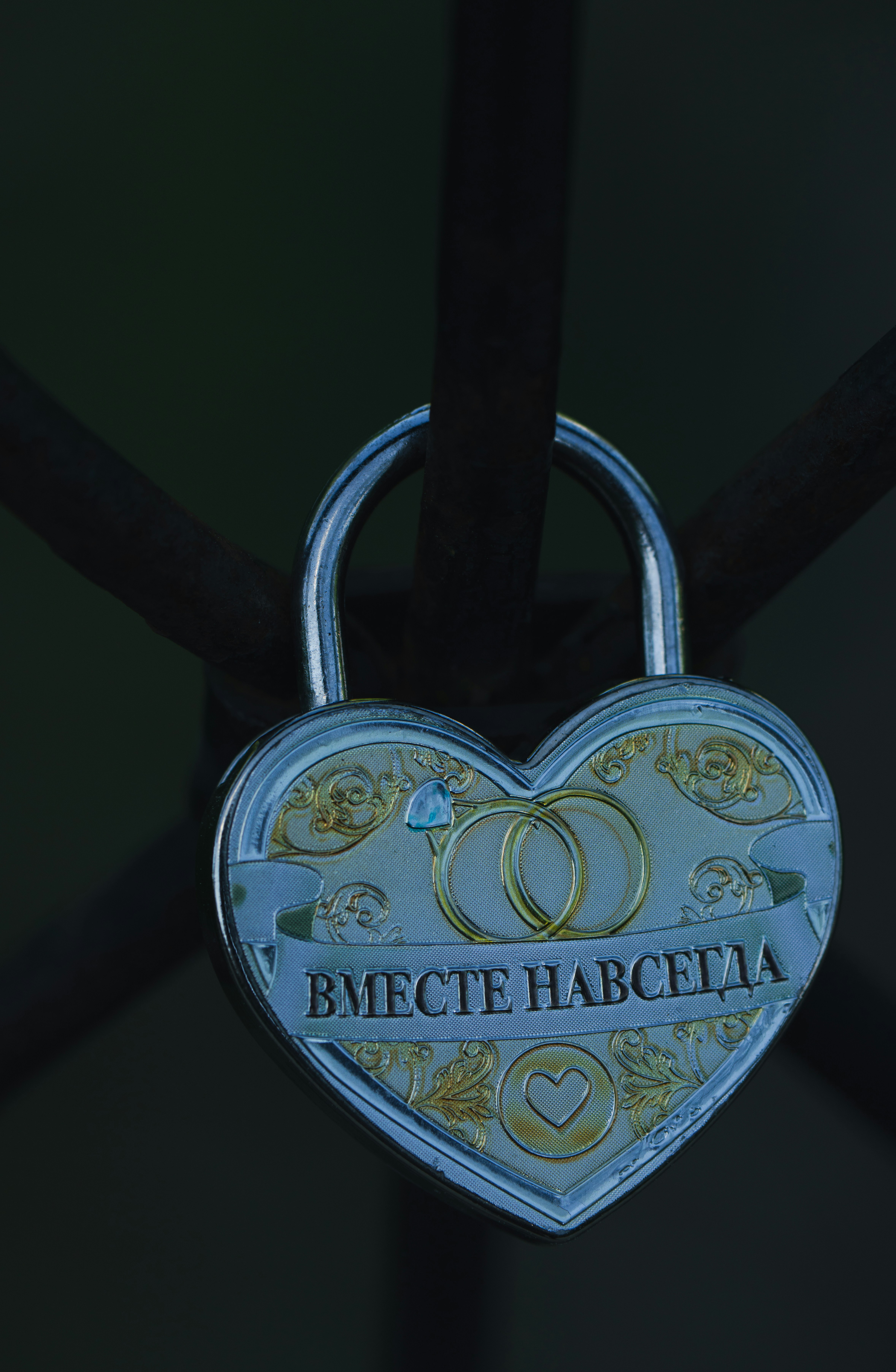 Heart-Shaped Lock: Forever Inscribed in Metal