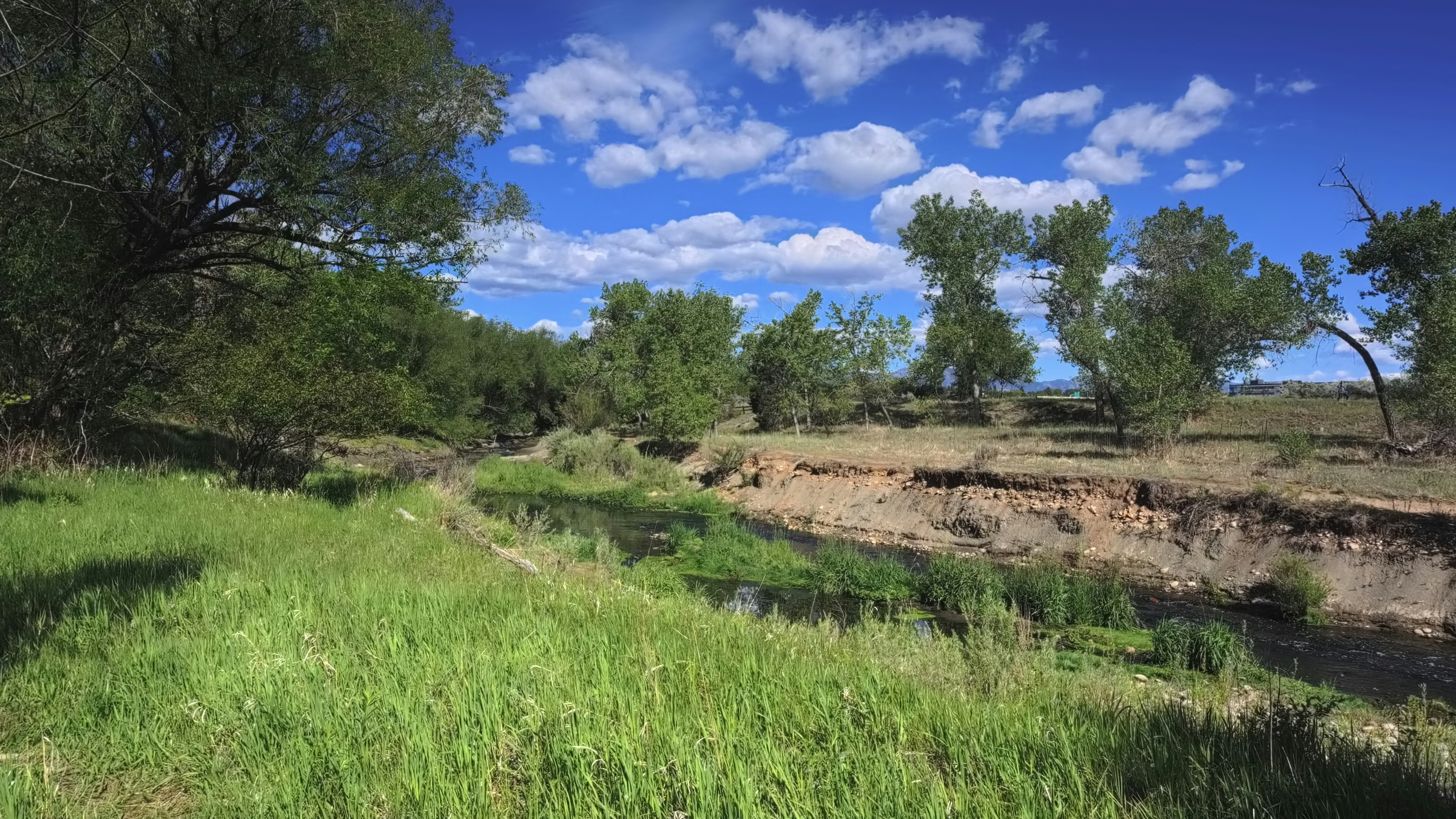 Grassy landscape with a creek, trees, and cloudy blue sky.