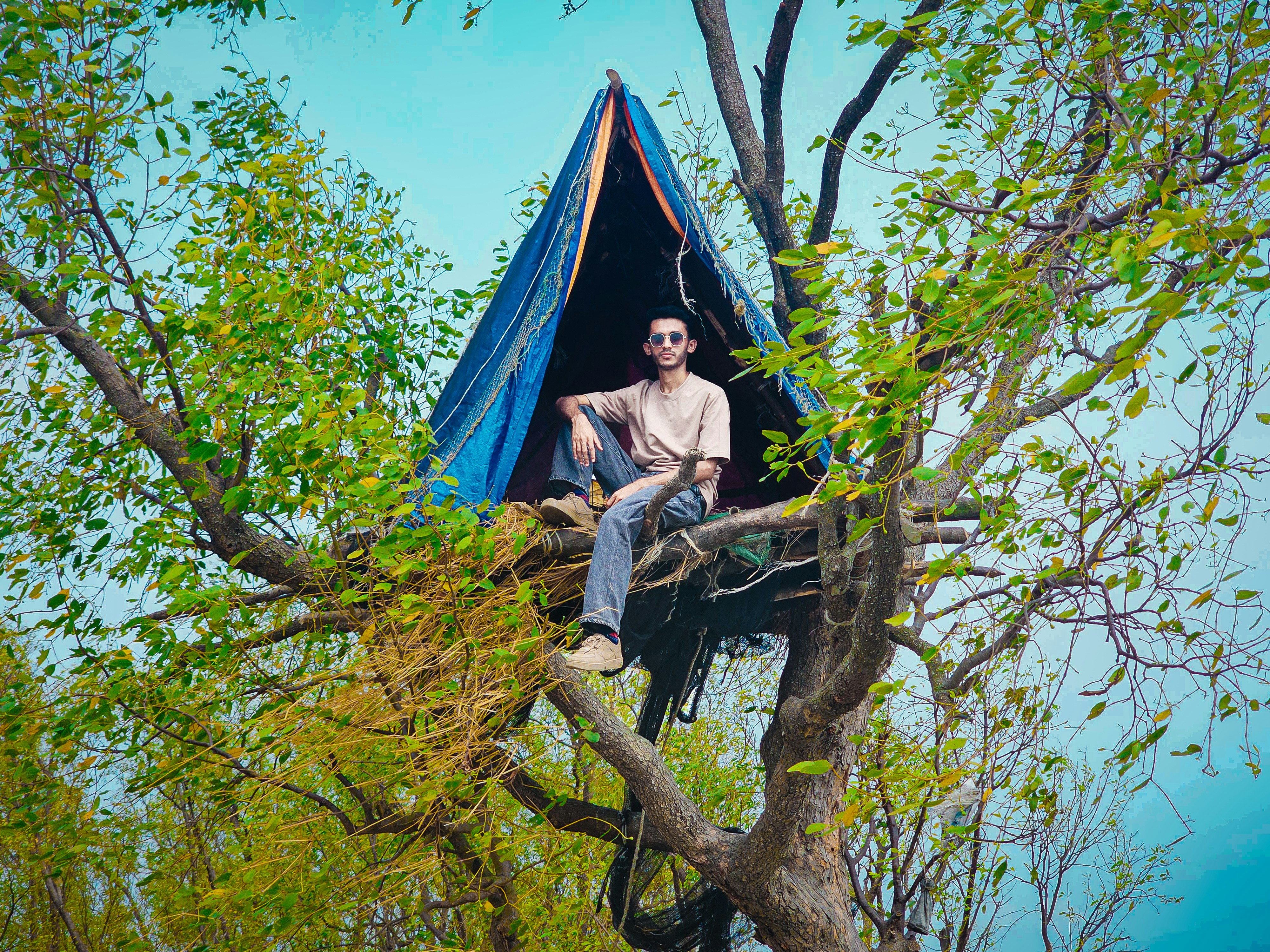 Traveler in a Blue Canopy: A Ragged Retreat Above the Branches