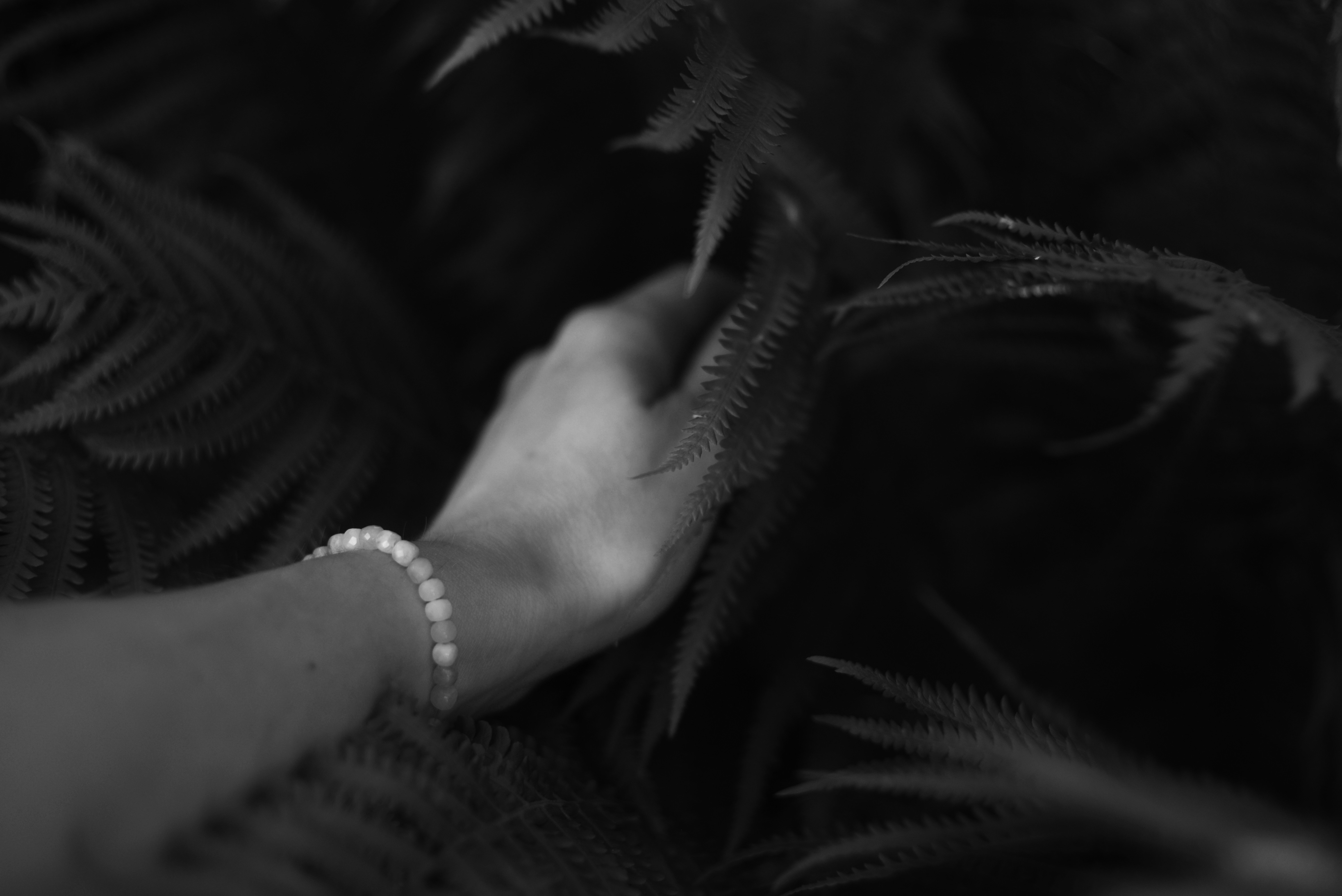 Tender Reach: A Silhouette of Connection in Fern Shadows