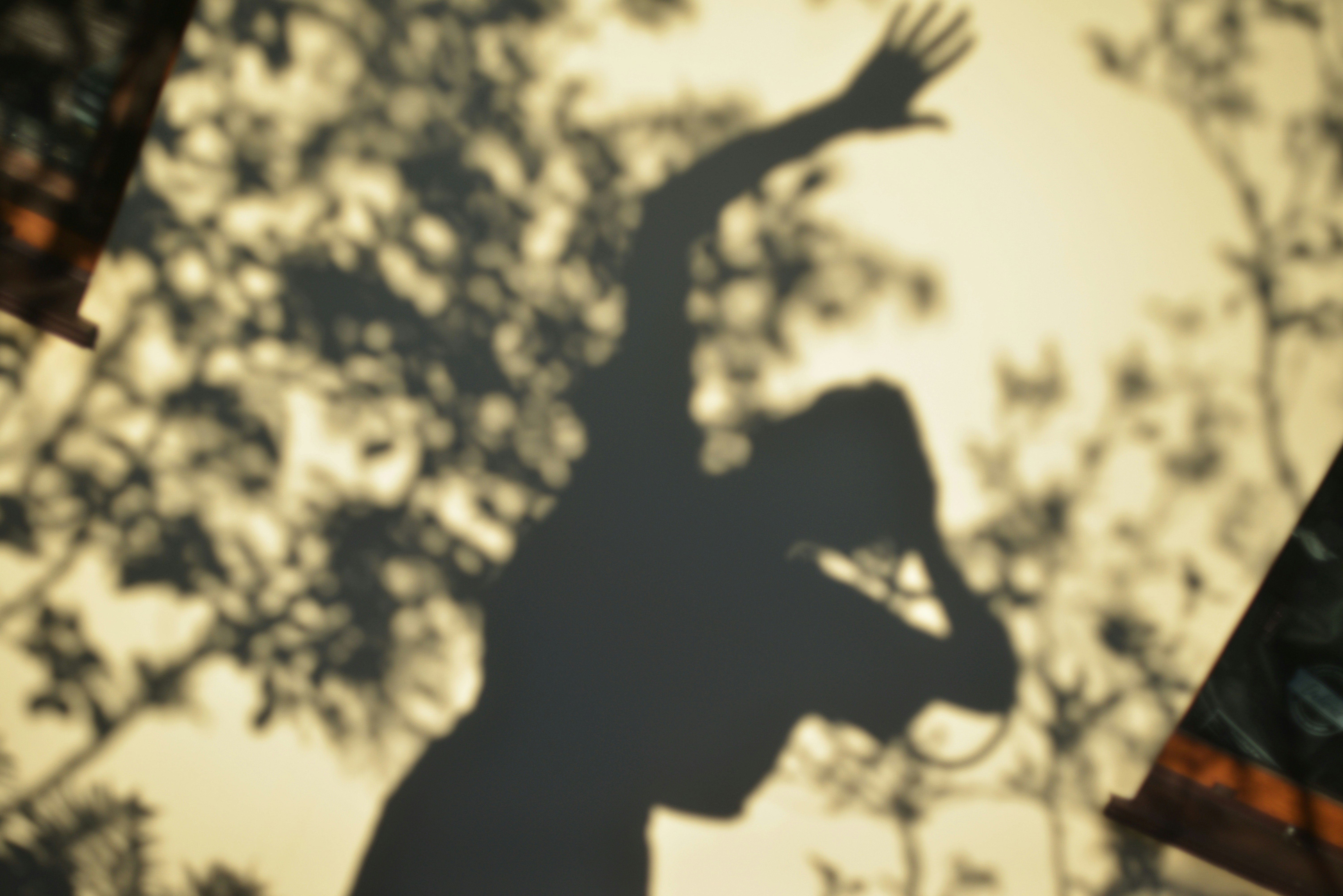 Shadowed Silhouette: A Moment of Movement Against Backlit Foliage