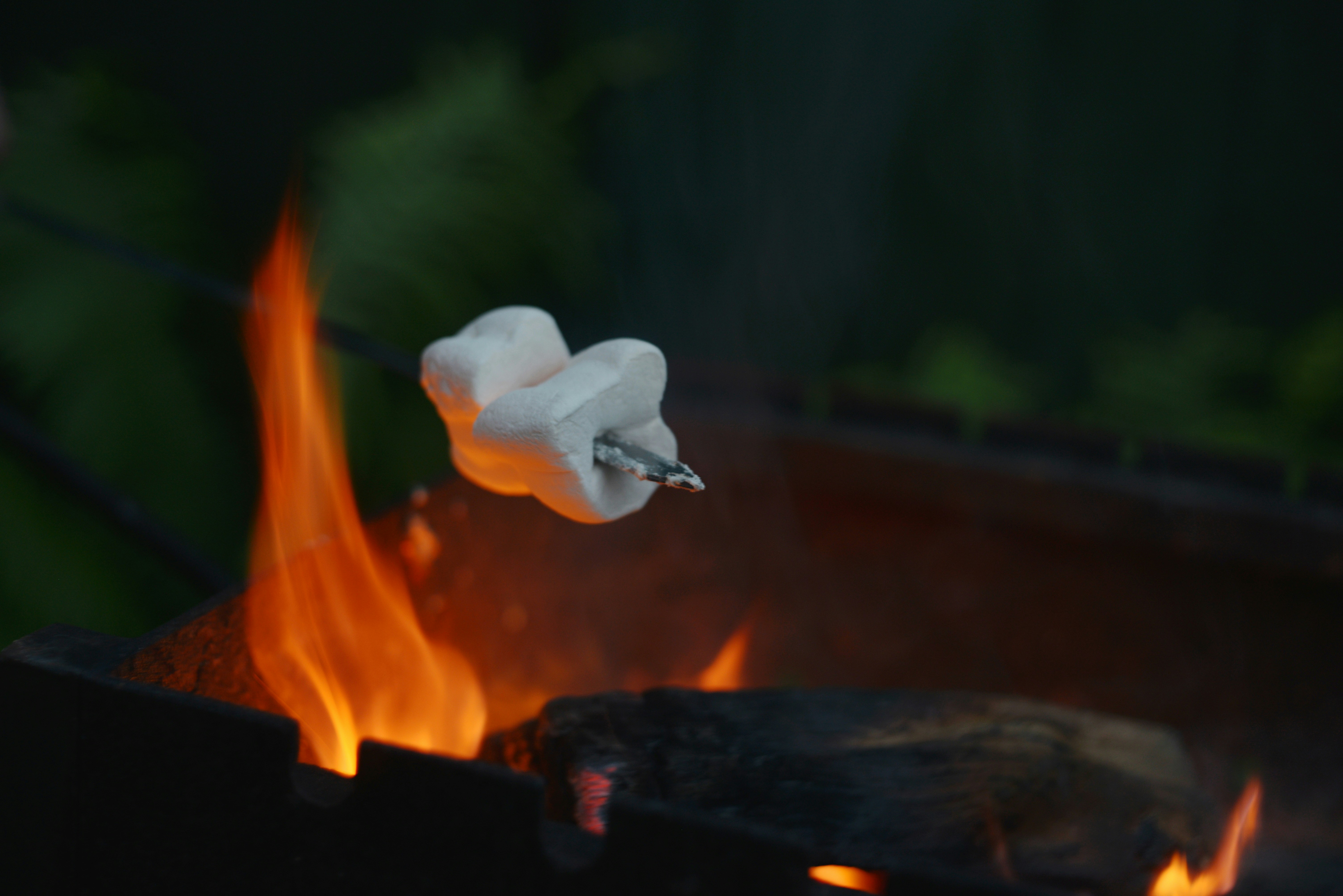 Flame-kissed S'more: a marshmallow catching fire over embers