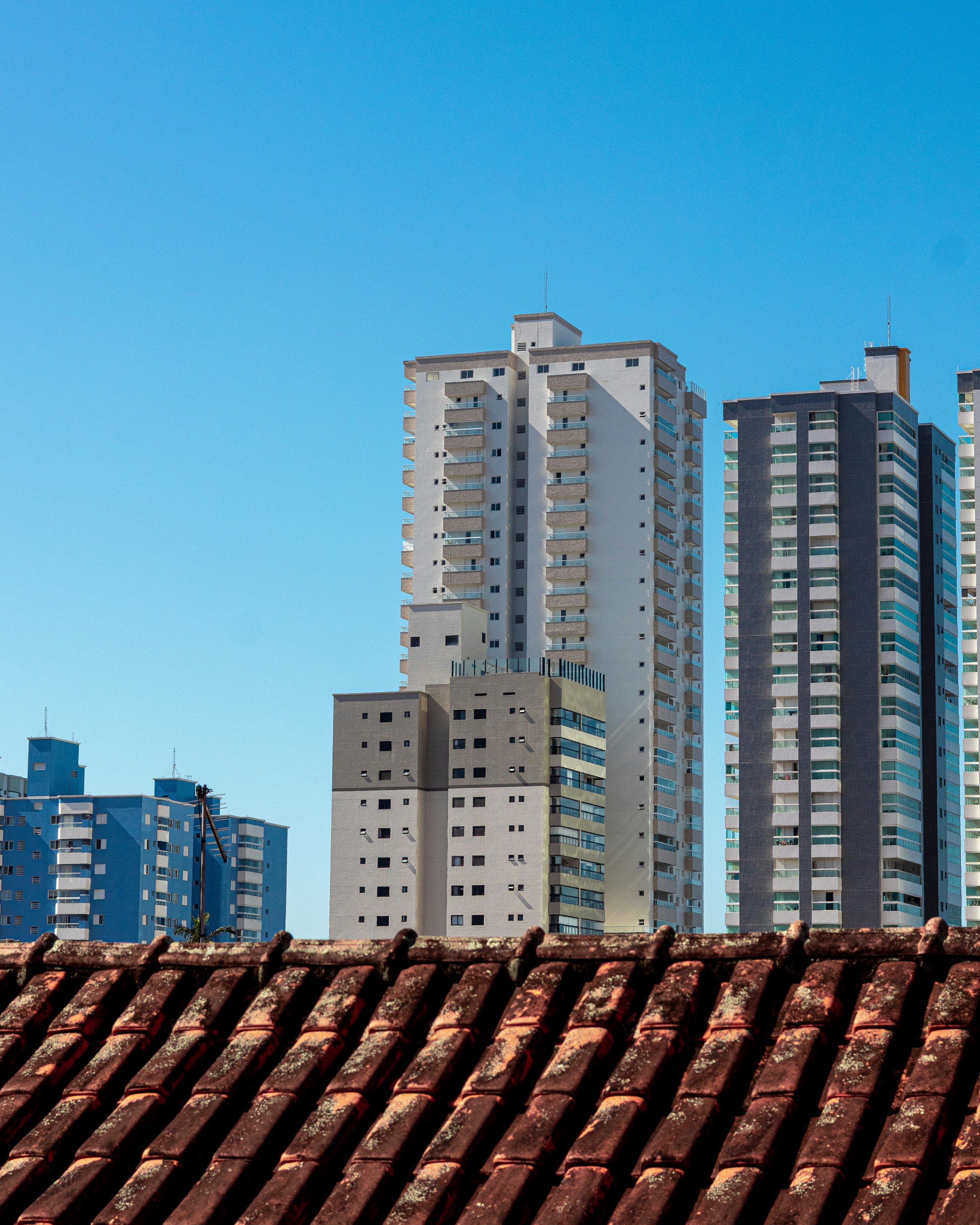 Urban Giants Rise Above Terracotta Rooflines
