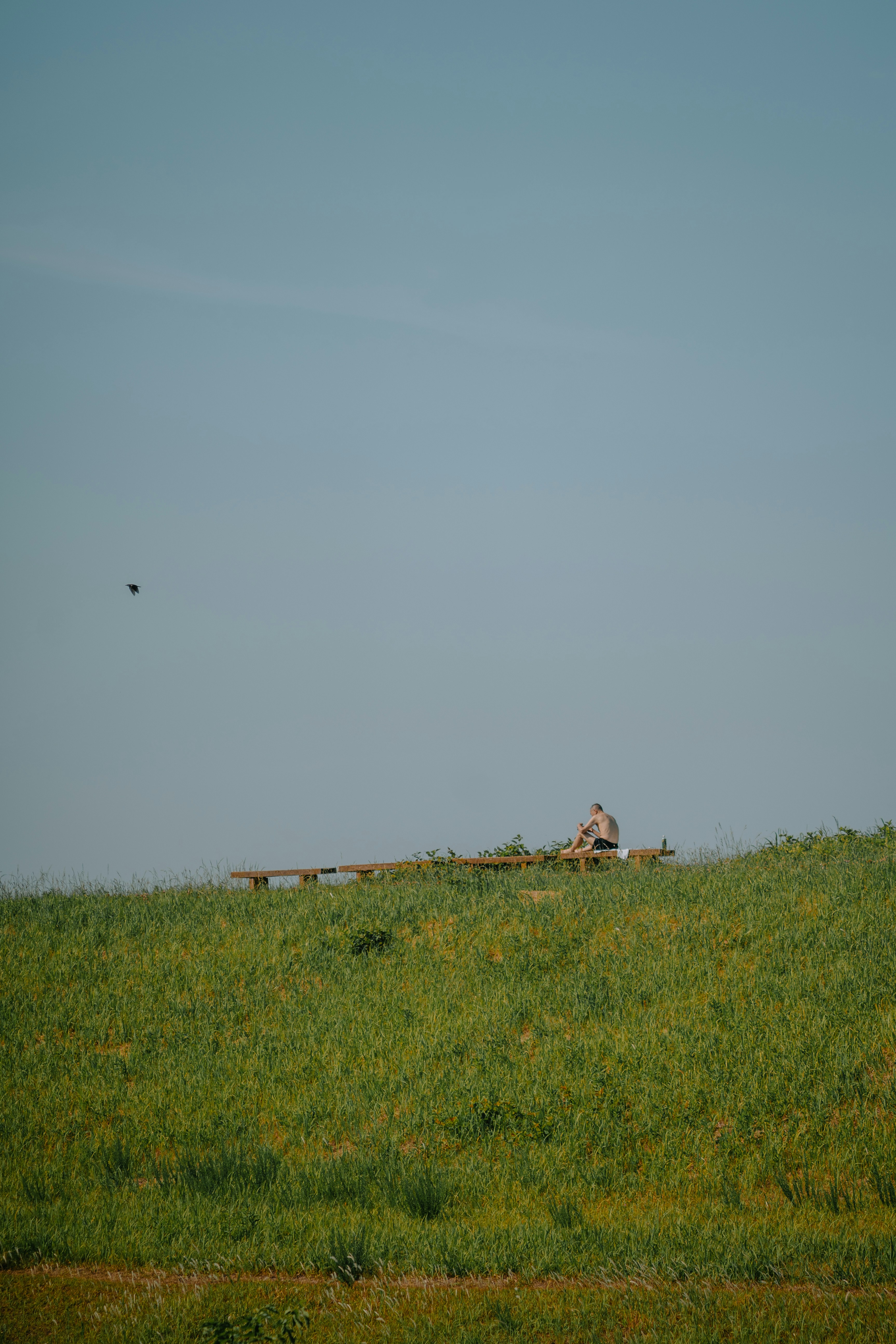 Ridgetop Quiet: A lone figure on a bench under a vast blue sky