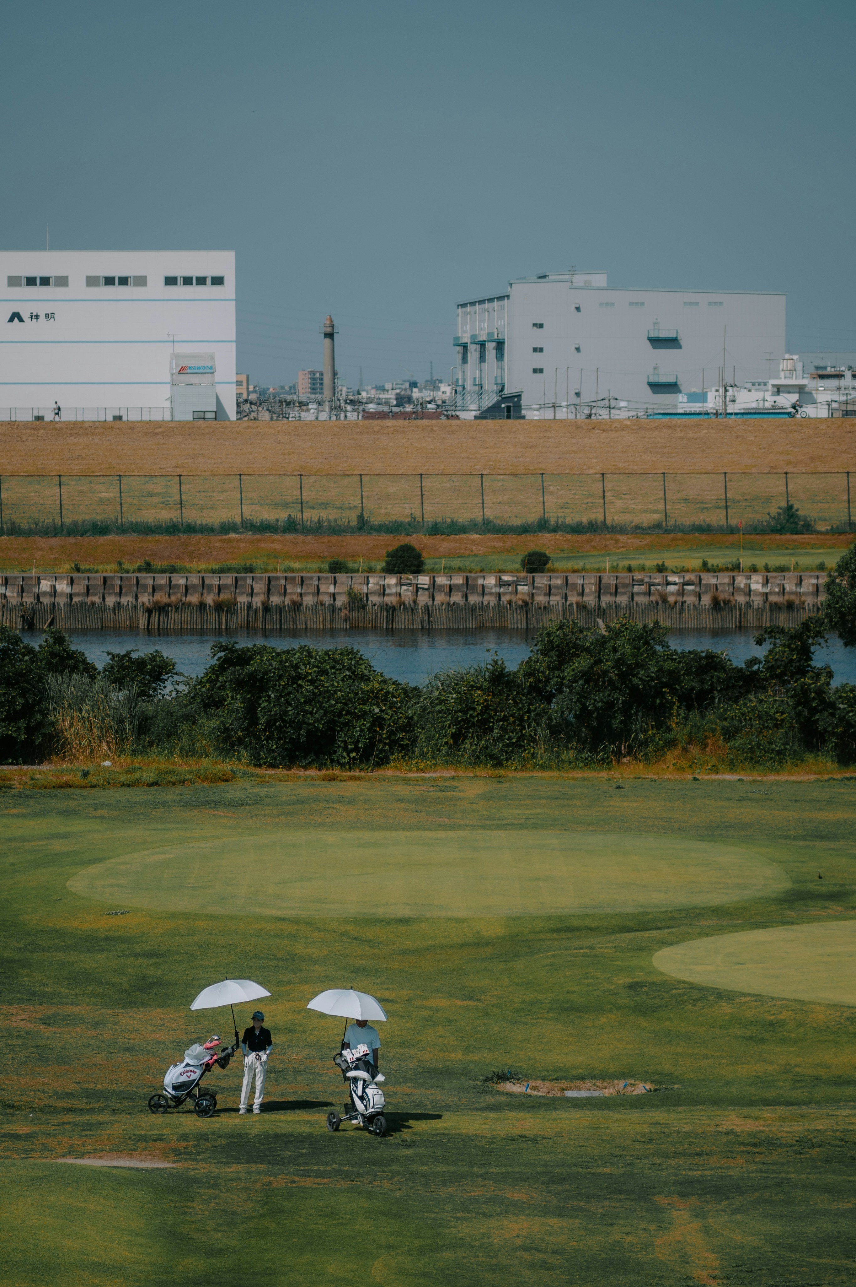 Umbrella canopy over a quiet golf-green moment