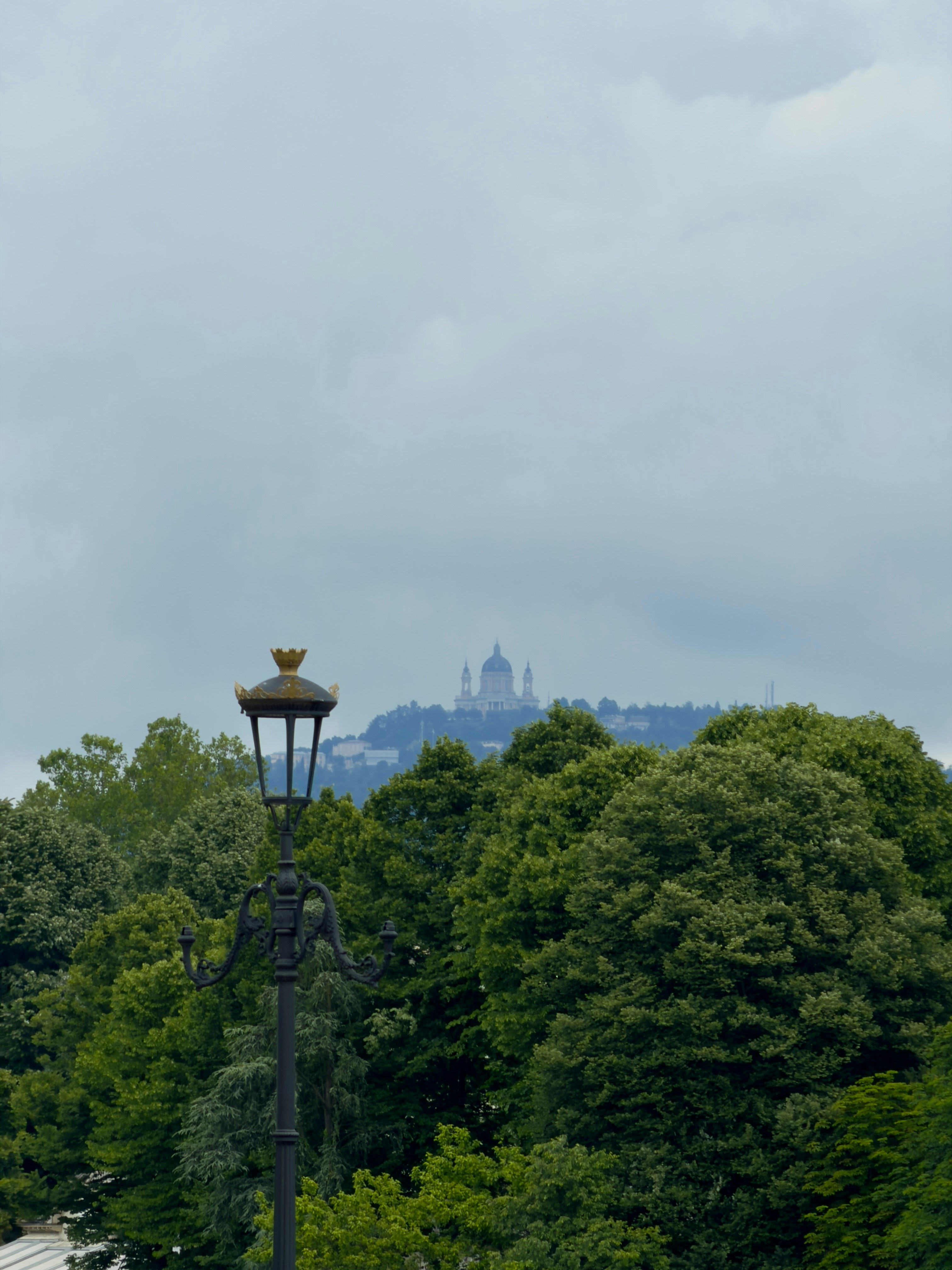 Distant Cathedral Silhouette Above a Canopy of Green