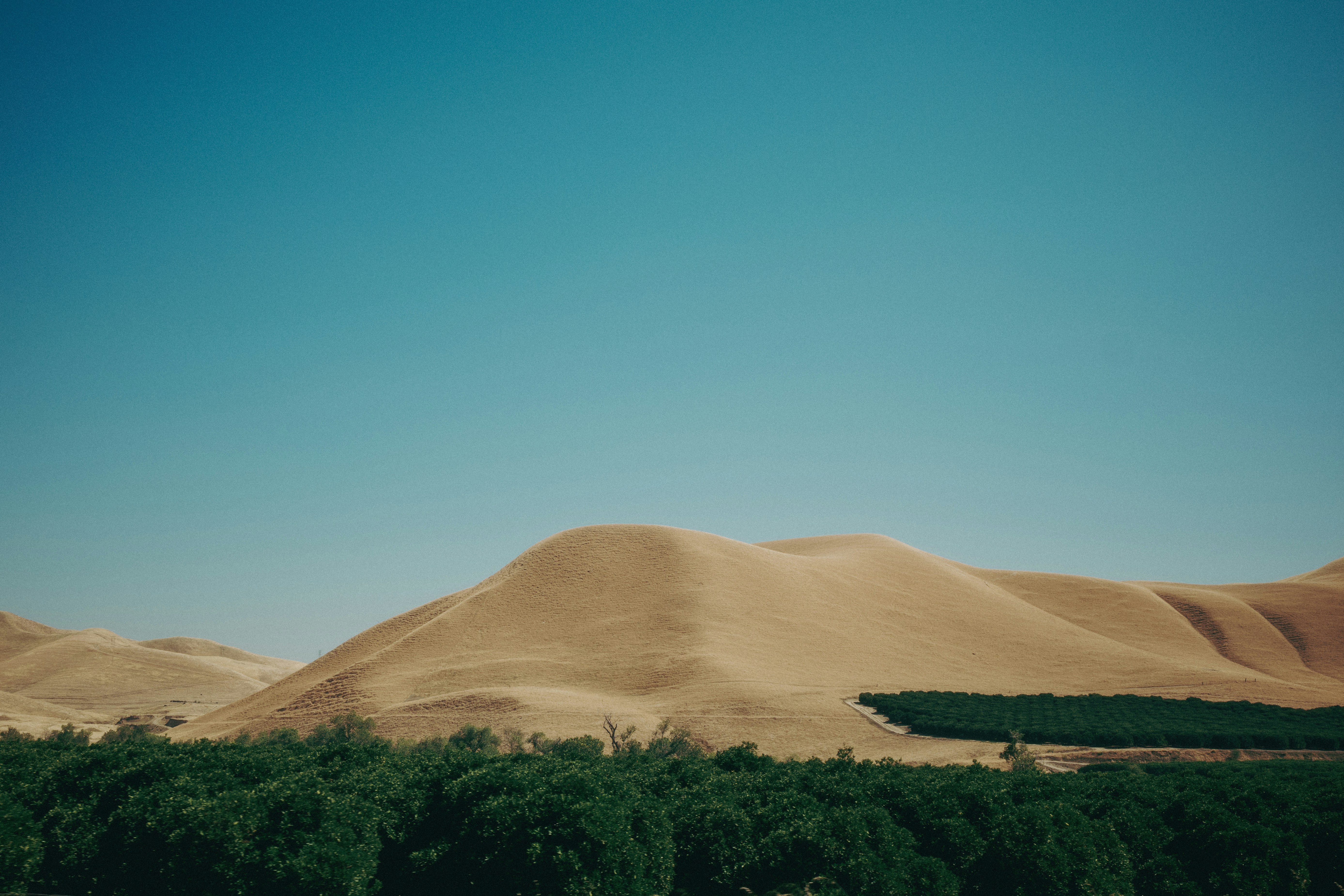 Rolling Desert Hills Meet a Veil of Green