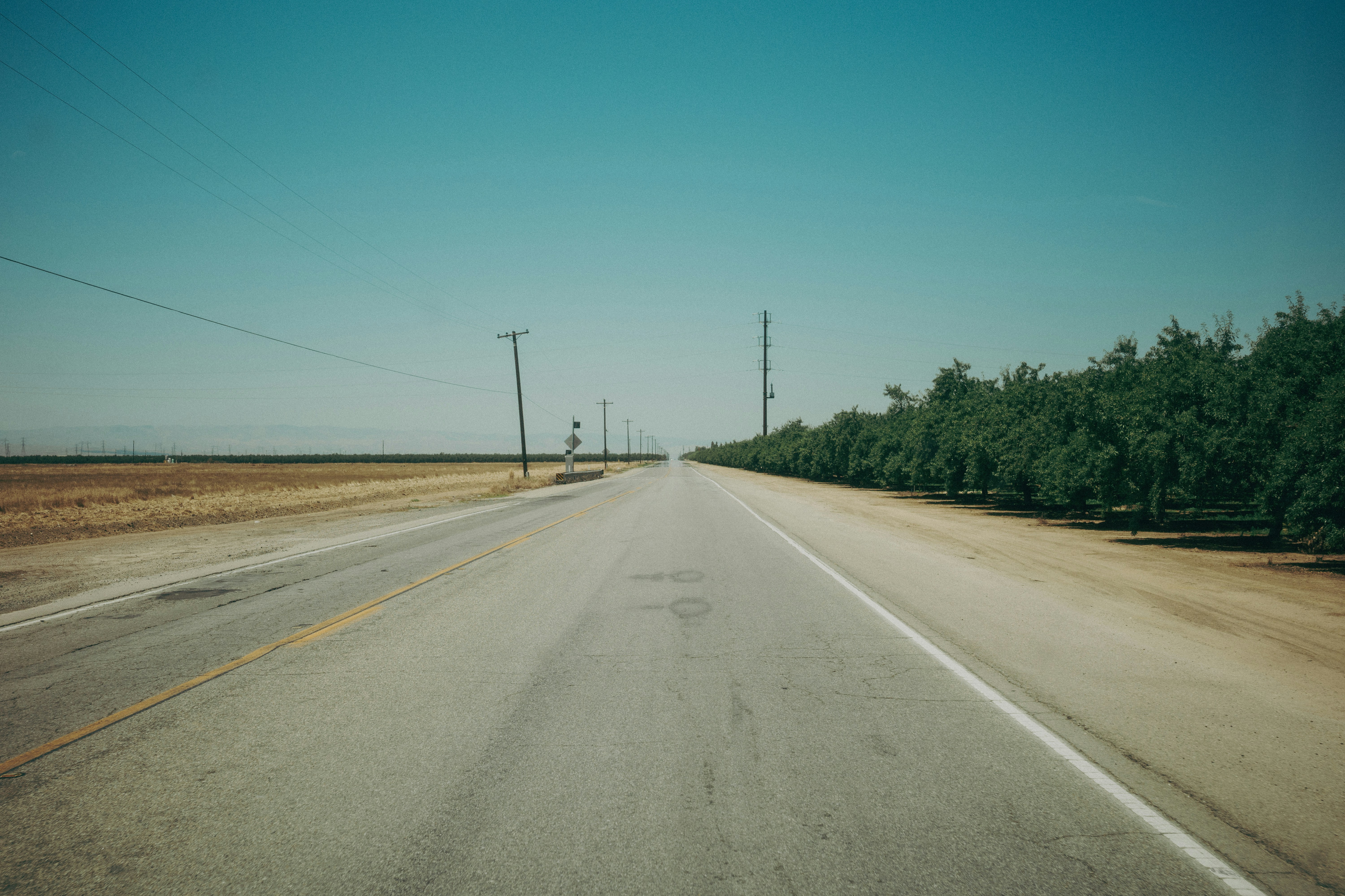 The Endless Horizon: A Centered Road to Quiet Distance