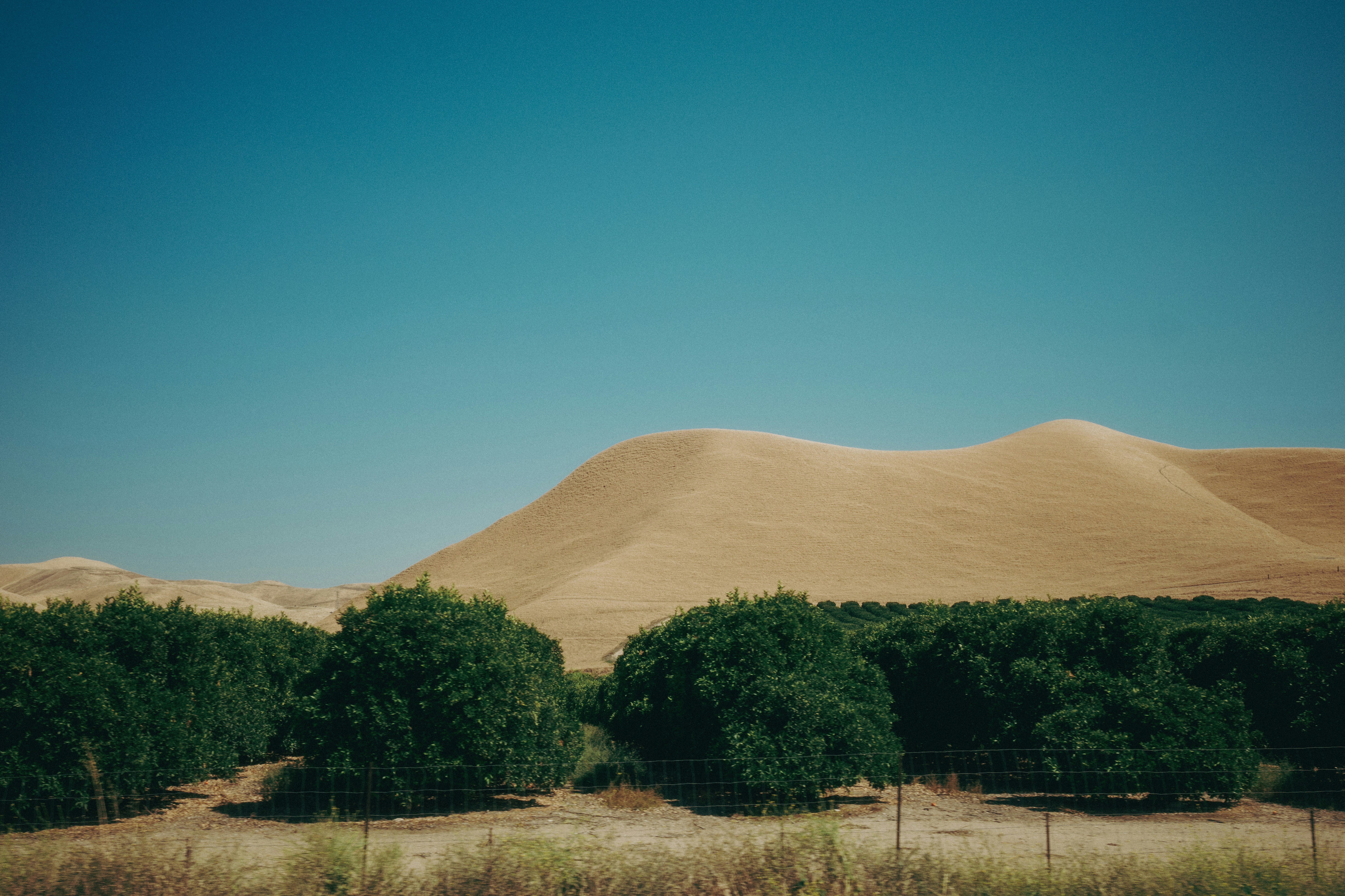 Dune Crest Under a Crisp Desert Sky
