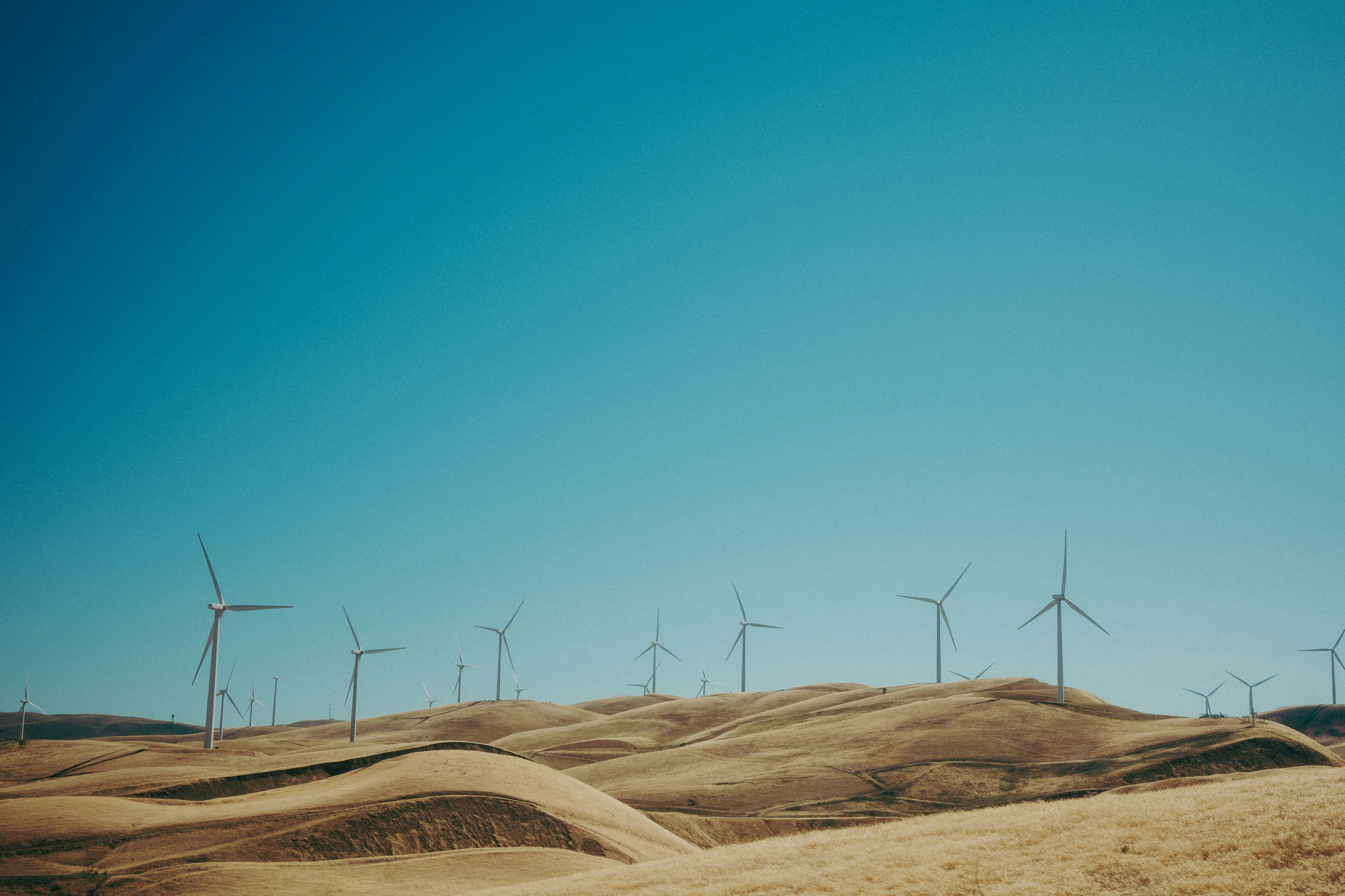 Golden Dunes Under a Row of Silent Turbines