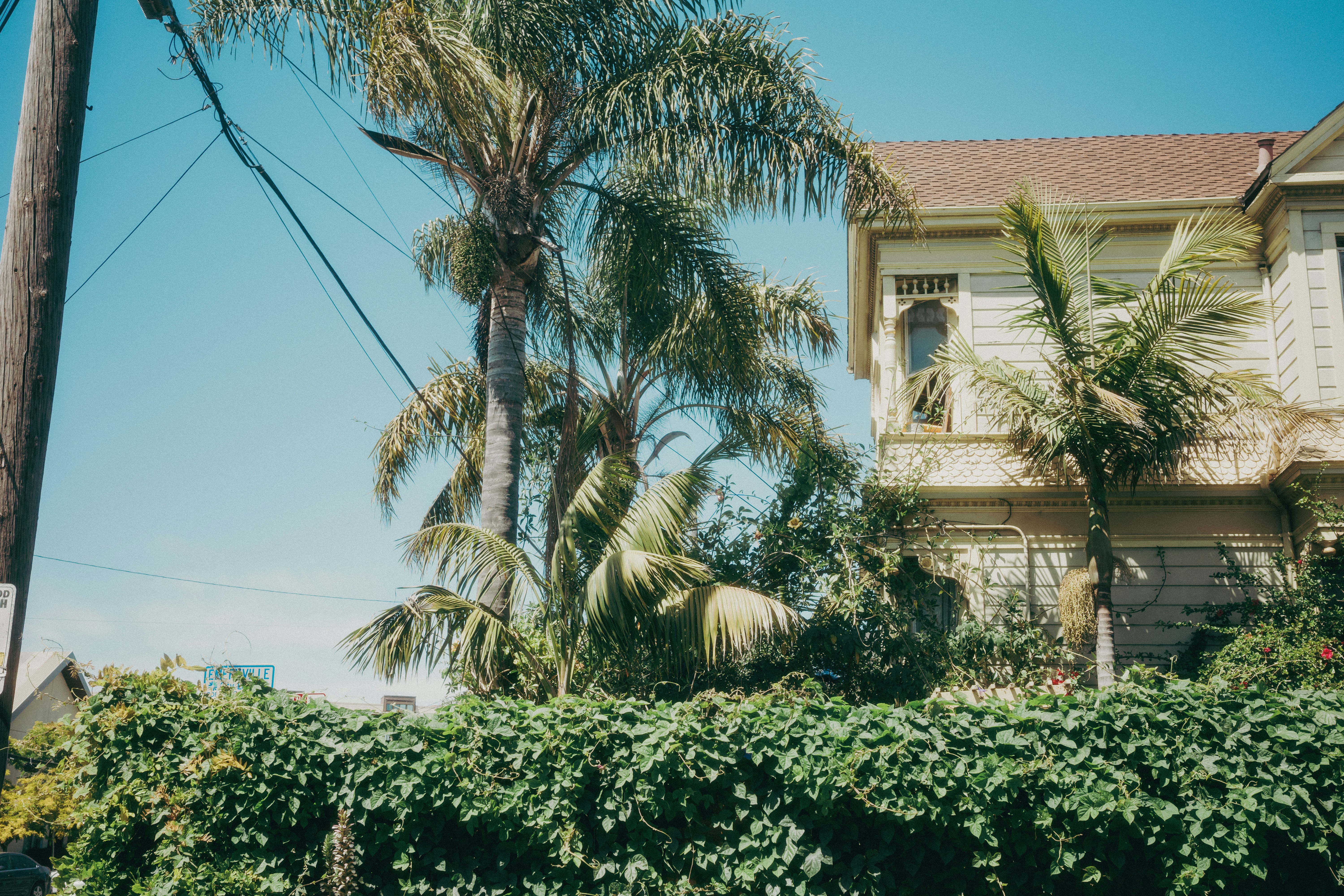 Sunlit Colonial: Palm-Fringed Garden and Veranda Under a Bright Sky