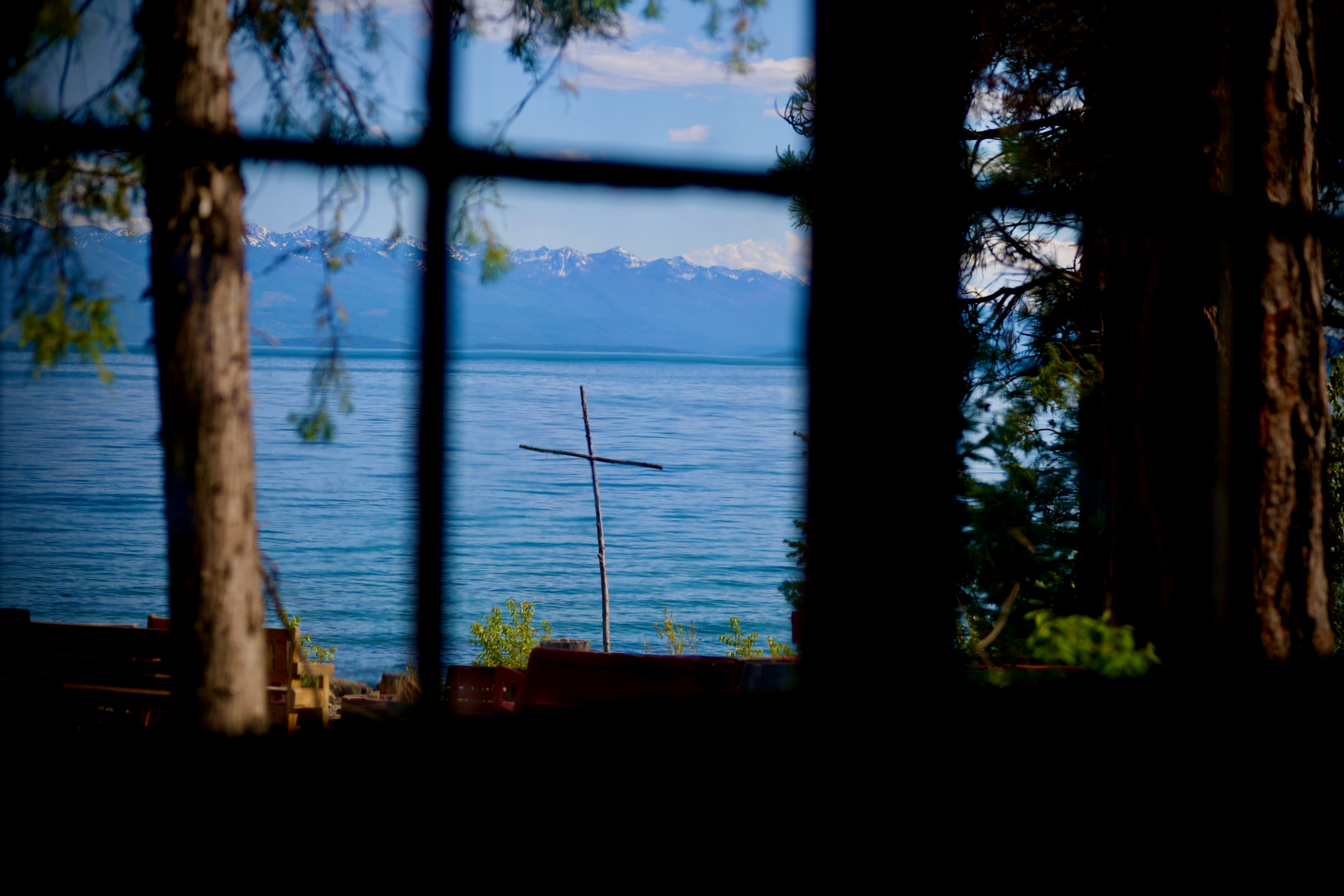 View Through the Grid: A Quiet Lake Framed by Pines
