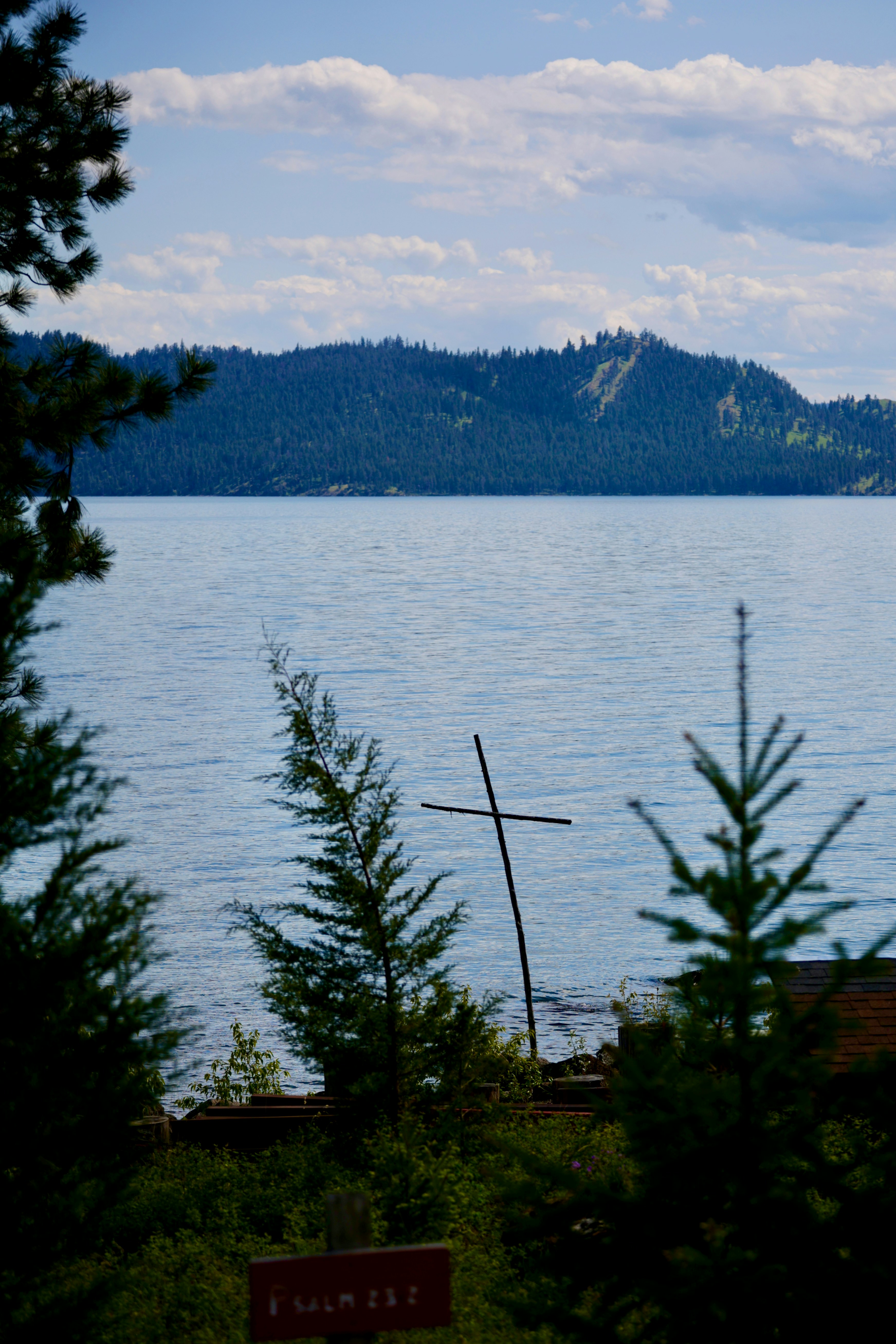 Cross and Lake: Silhouetted Pine Foreground Framing a Quiet Horizon