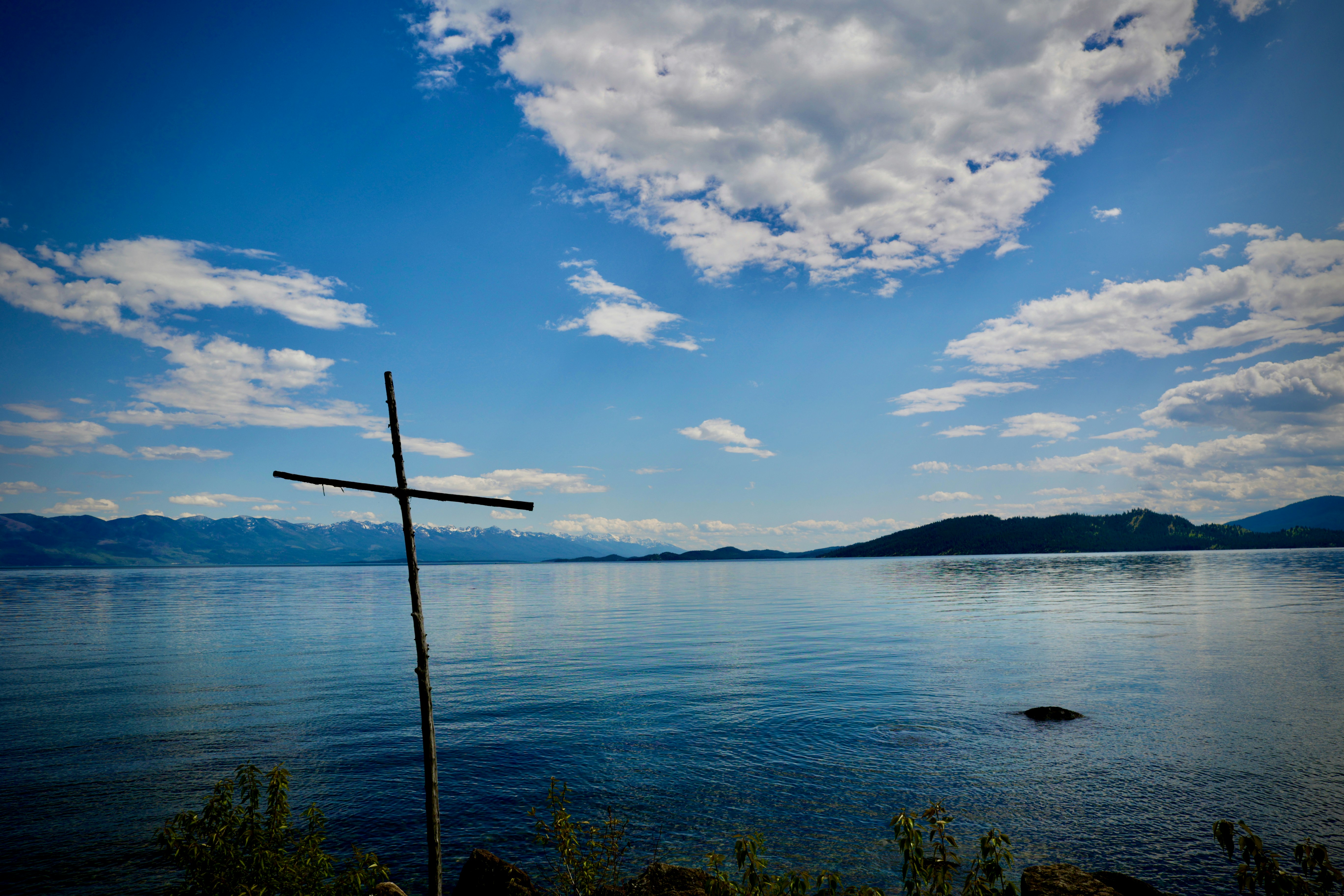 Driftwood Cross Over a Quiet Lake
