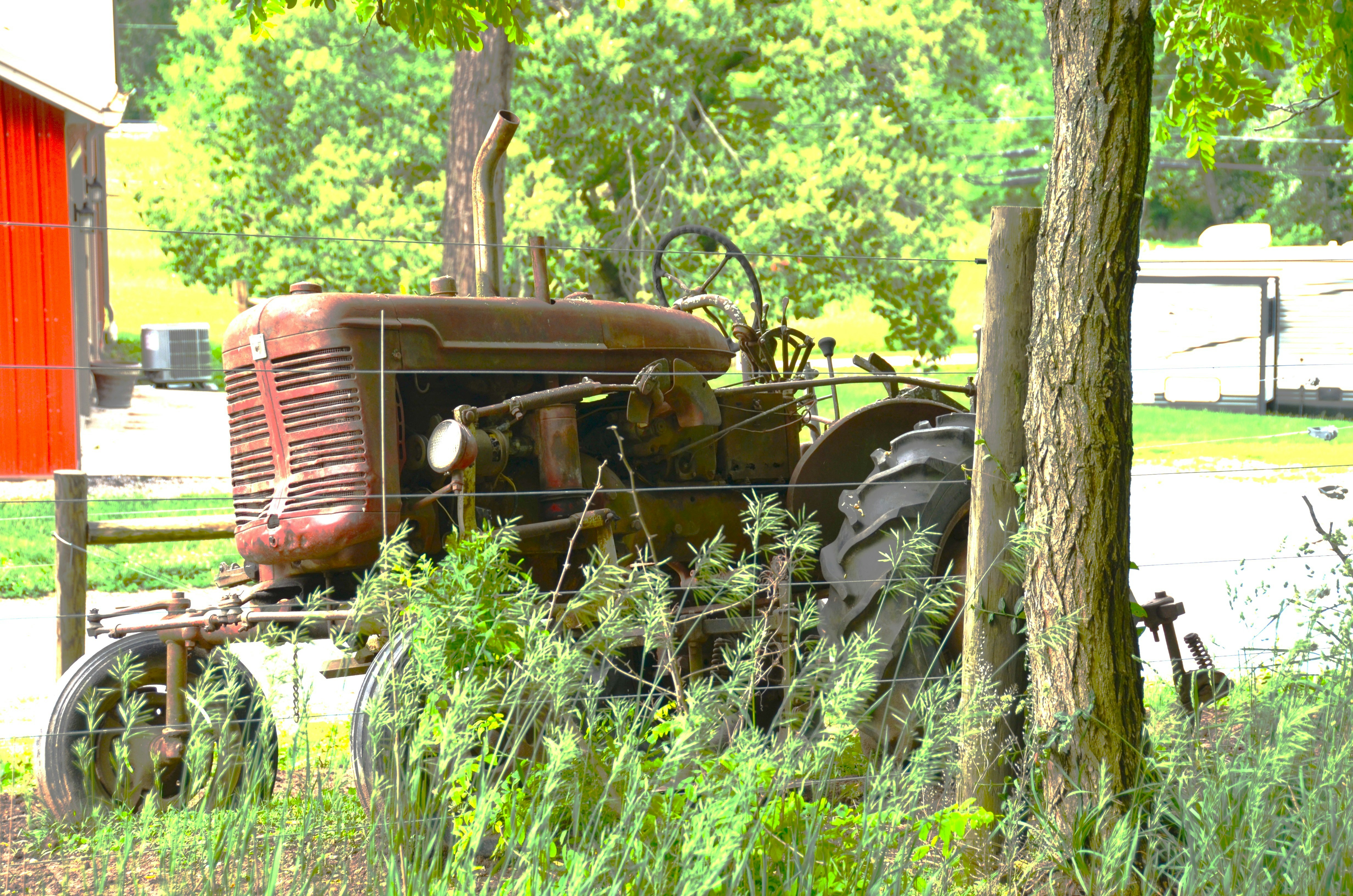Old Tractor Resting Among Tall Grass and Trees