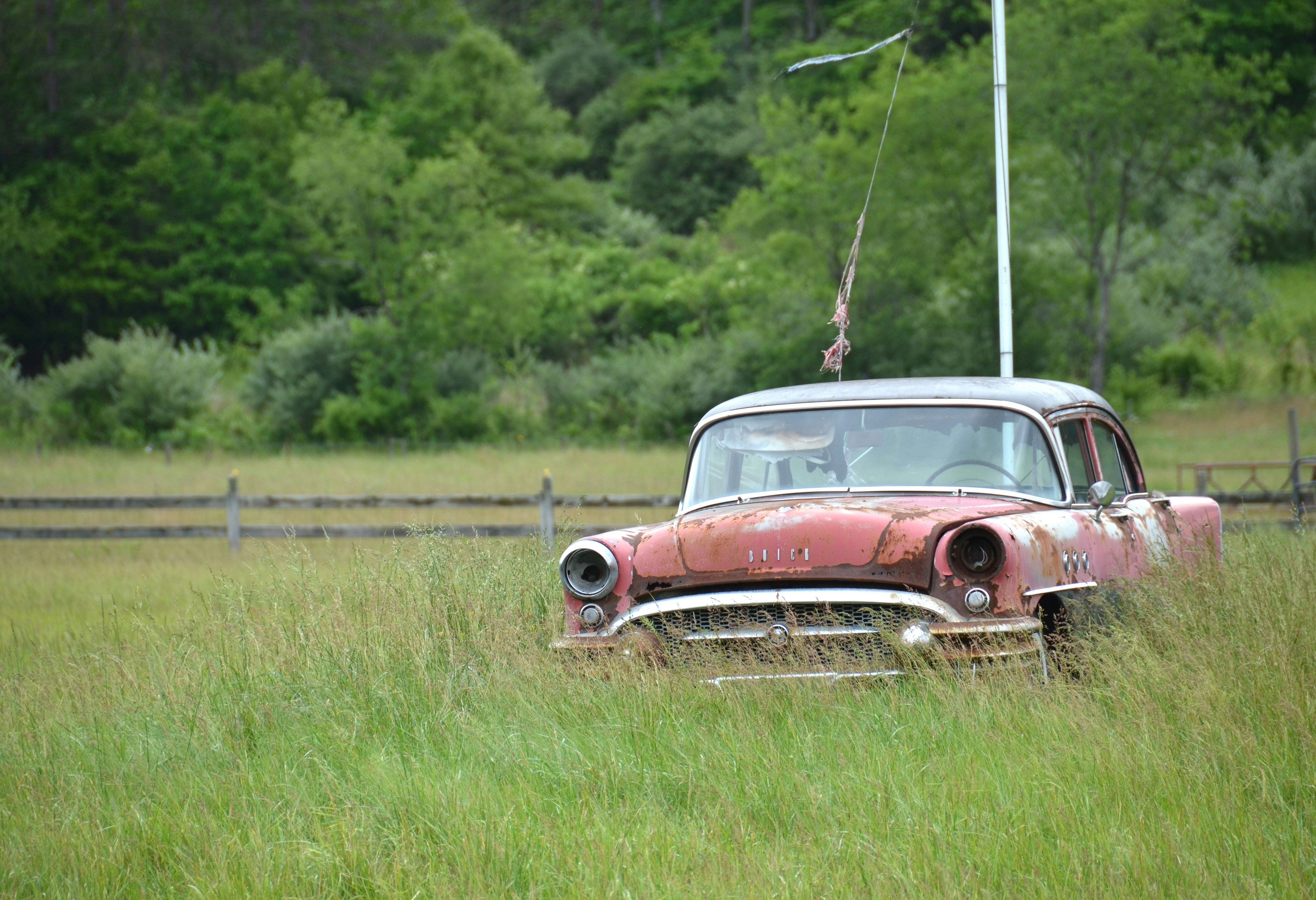 Abandoned Vintage Sedan in Meadow Wake