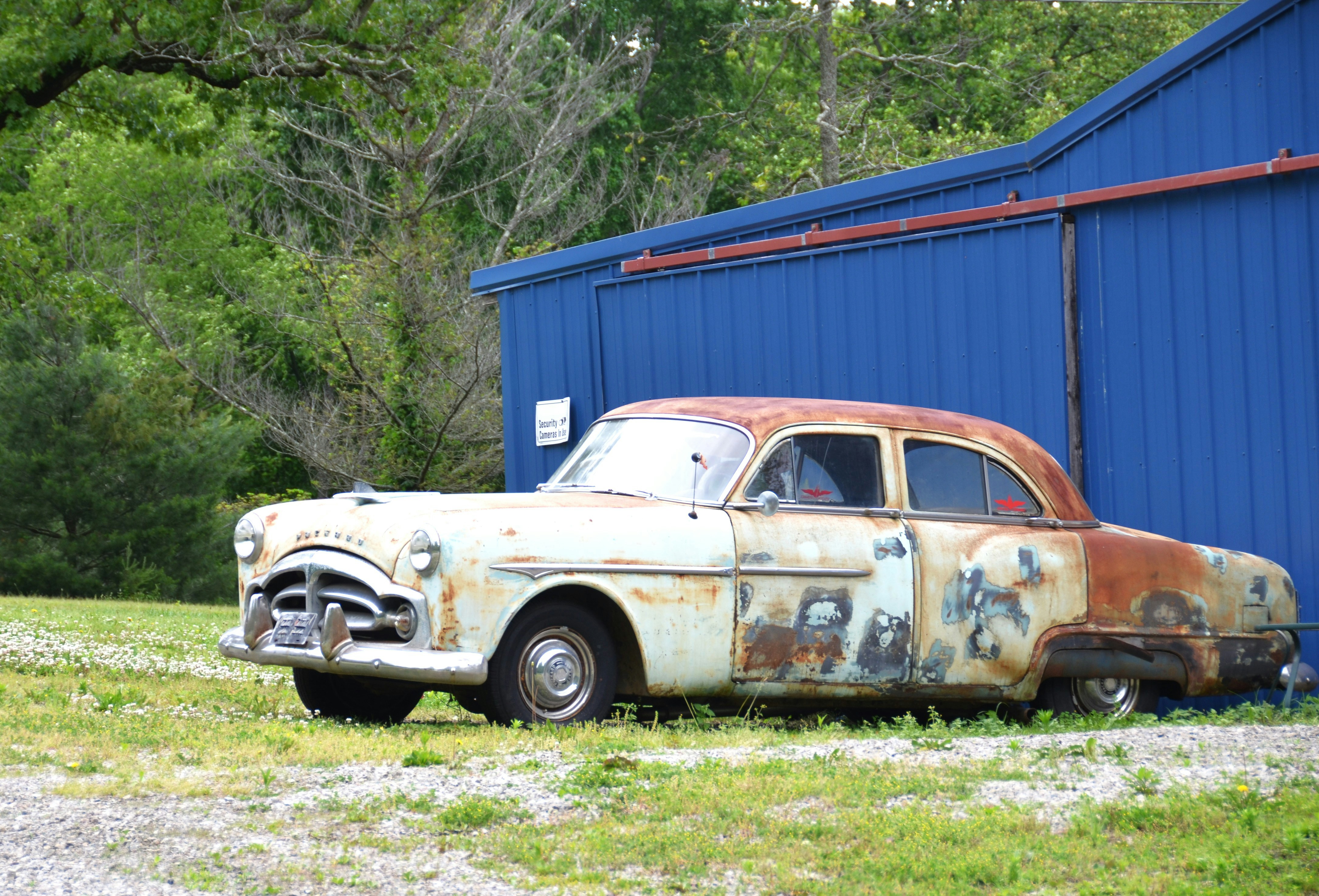 Rusting Relic by the Blueshed
