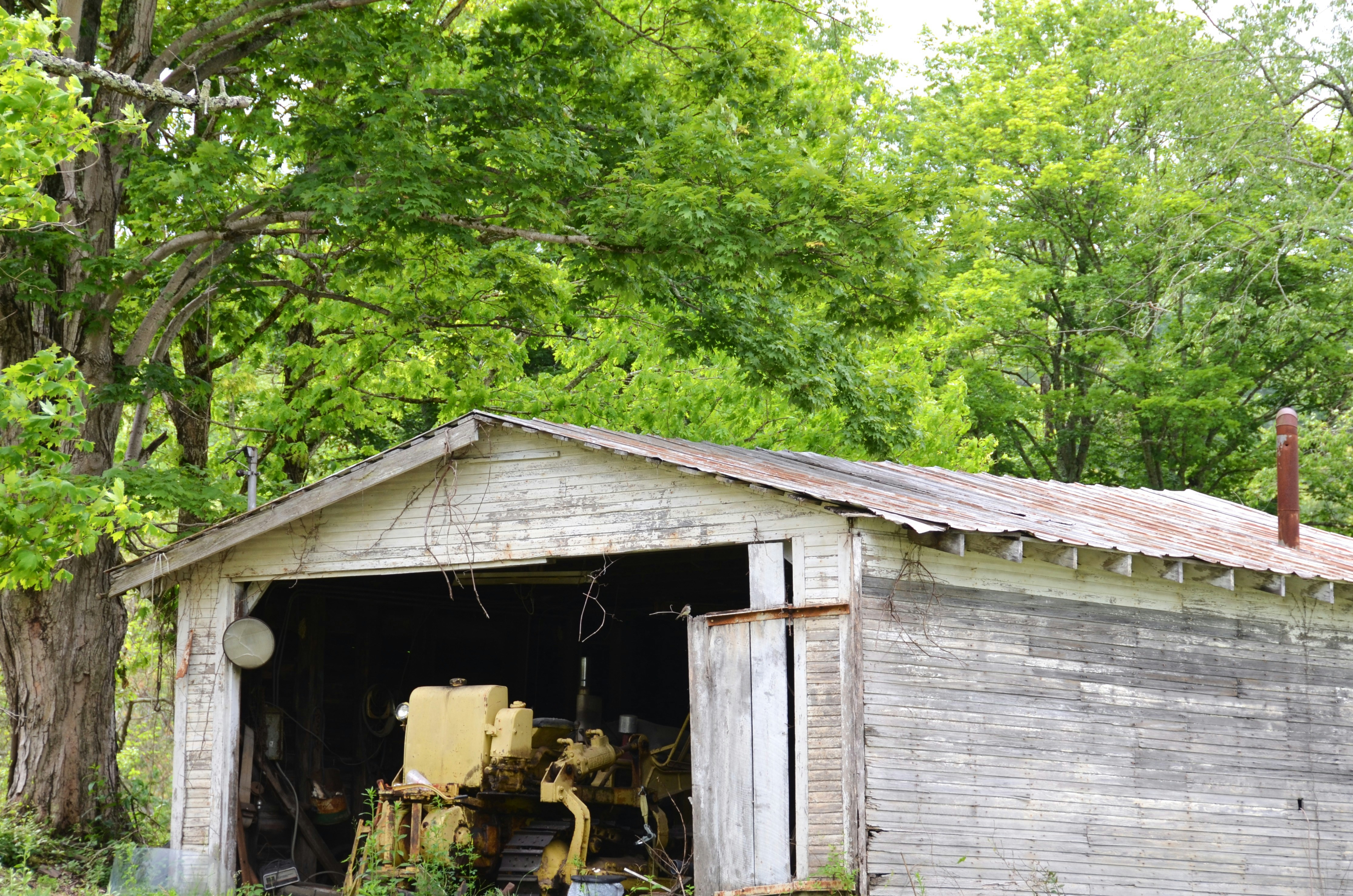 Abandoned Workshop Amid a Canopy of Green