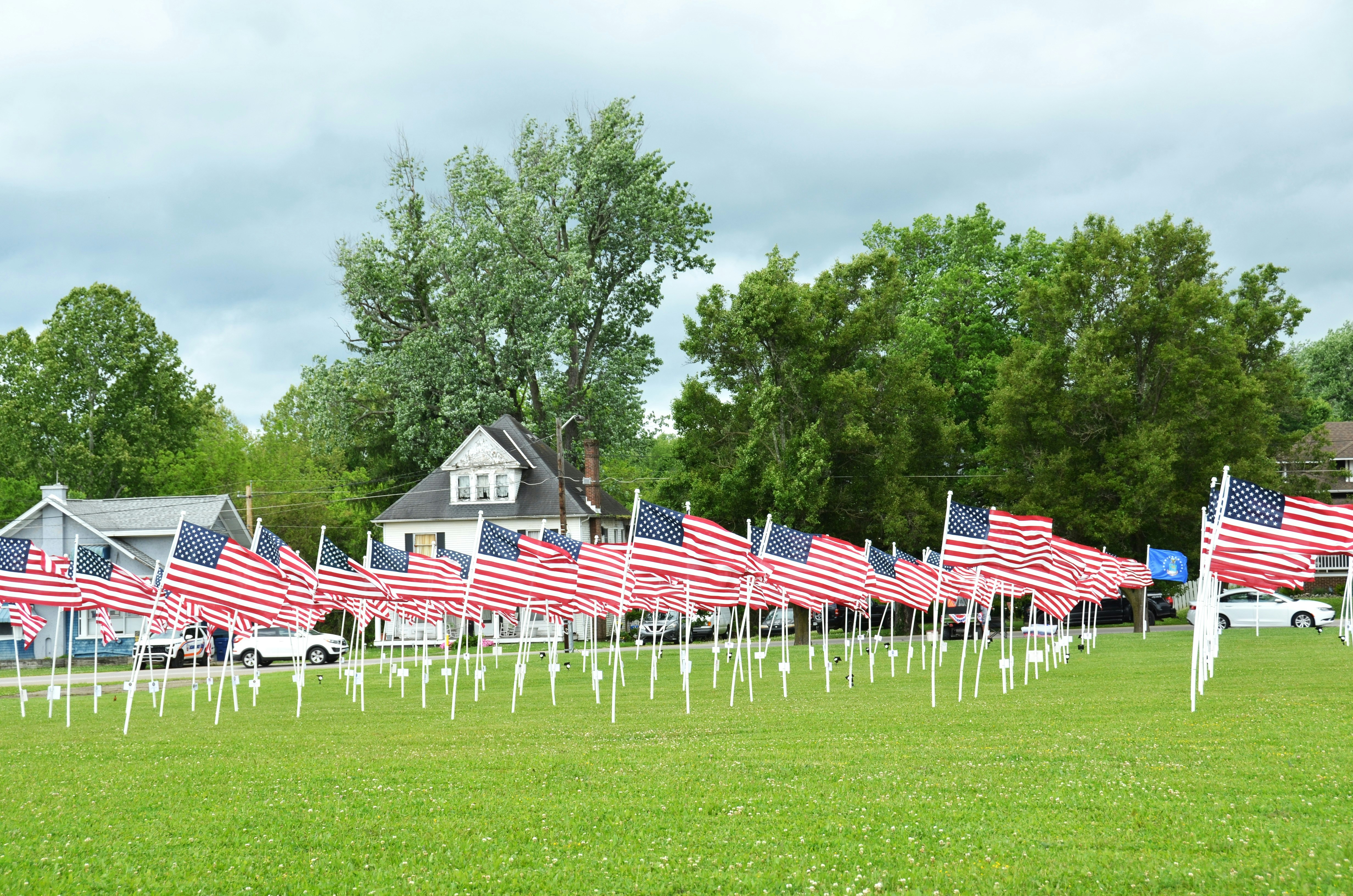 Field of Flags: A Line of Patriotism Under Overcast Skies