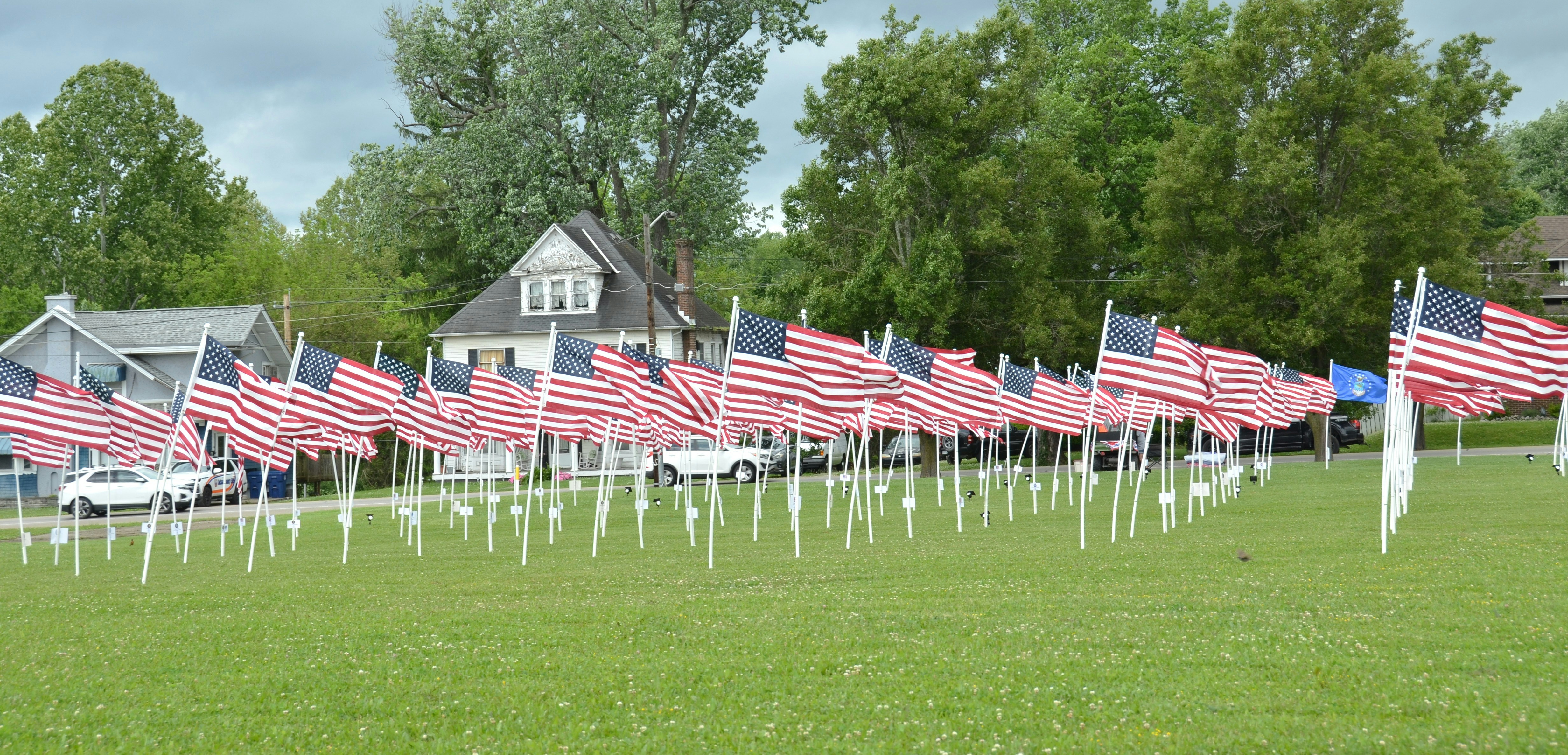 Patriotic Field of Flags: A Row of U.S. Banners in a Quiet Suburban Park
