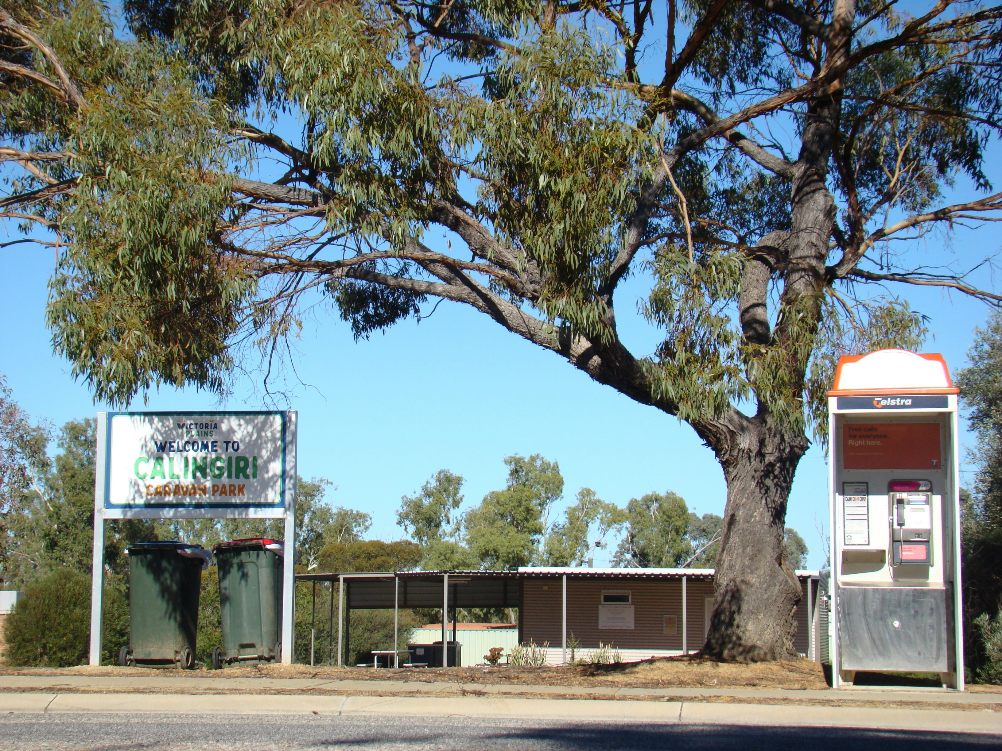 Old Gas Station Stop Under a Shady Tree
