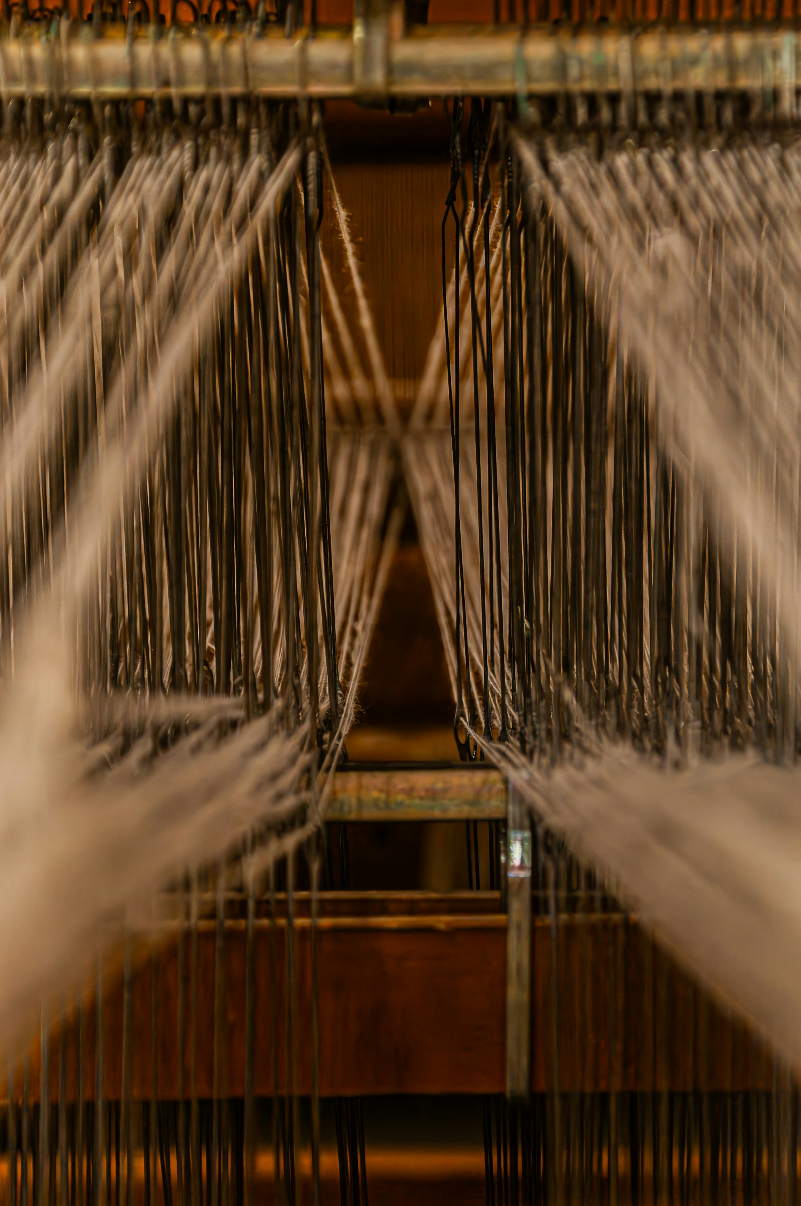 Threads in Motion: A Loom Between Shadows
