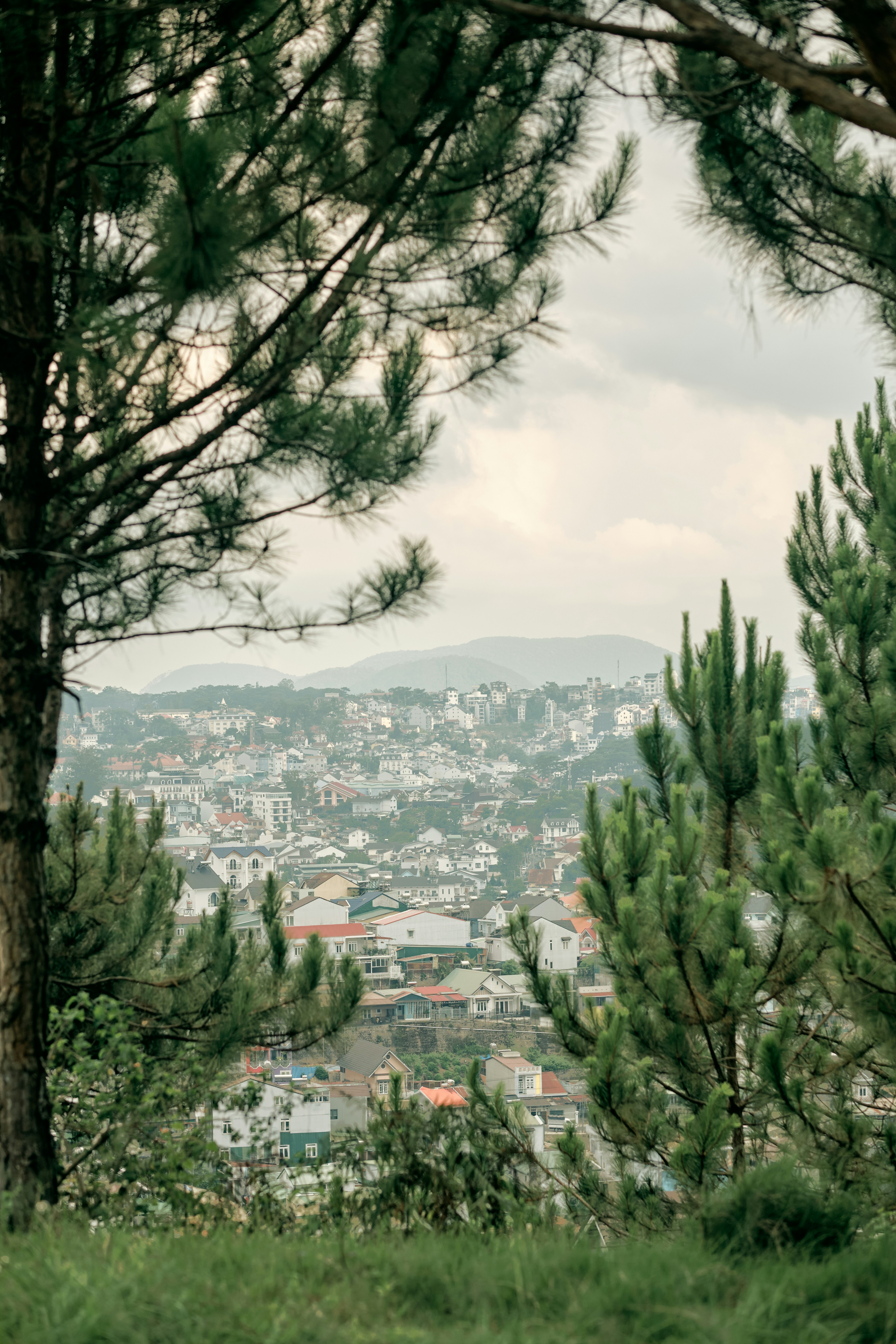 Hidden Valley Overlook: A Town Framed by Pines