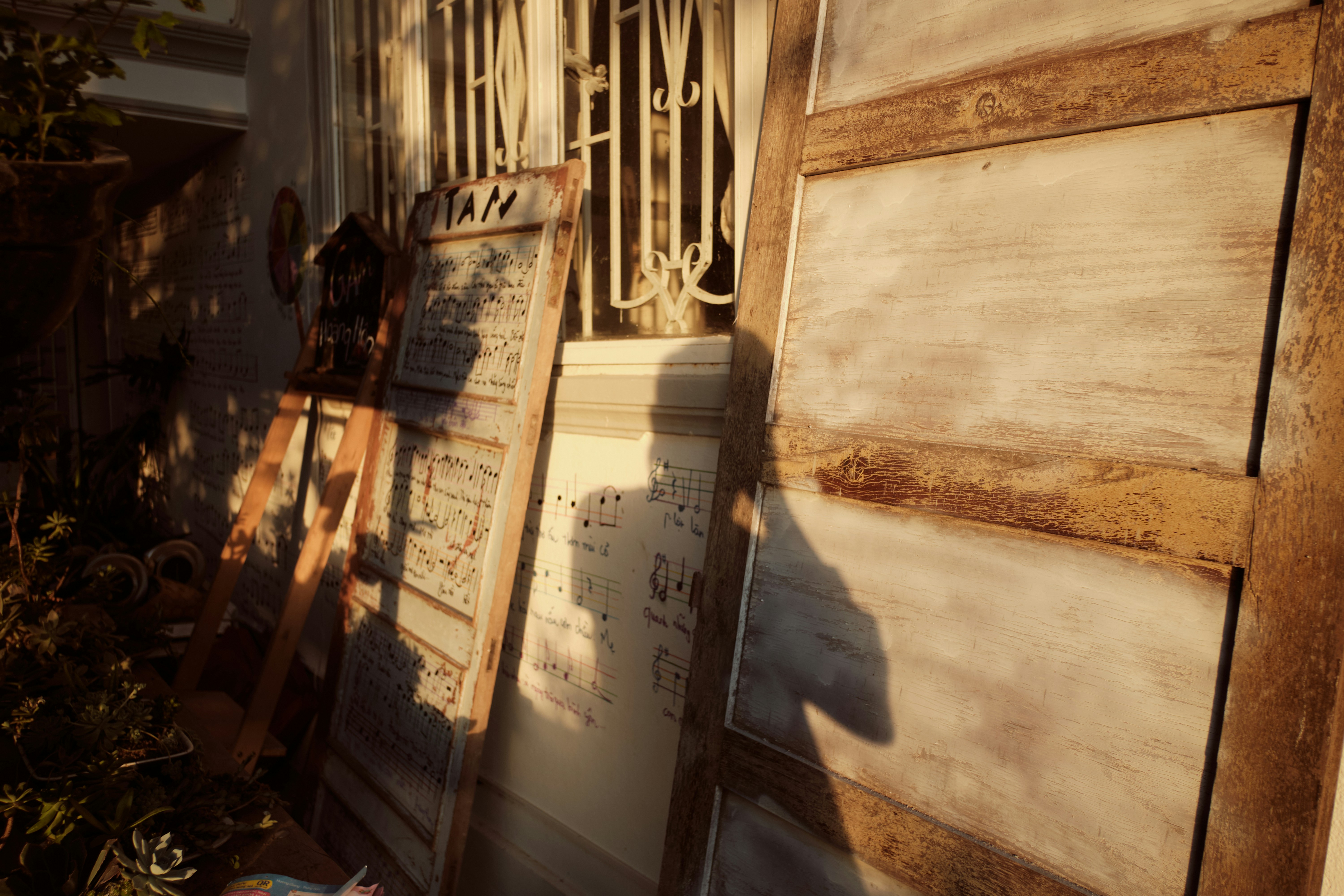 Sunlit Shutters and Chalkboard Shadows