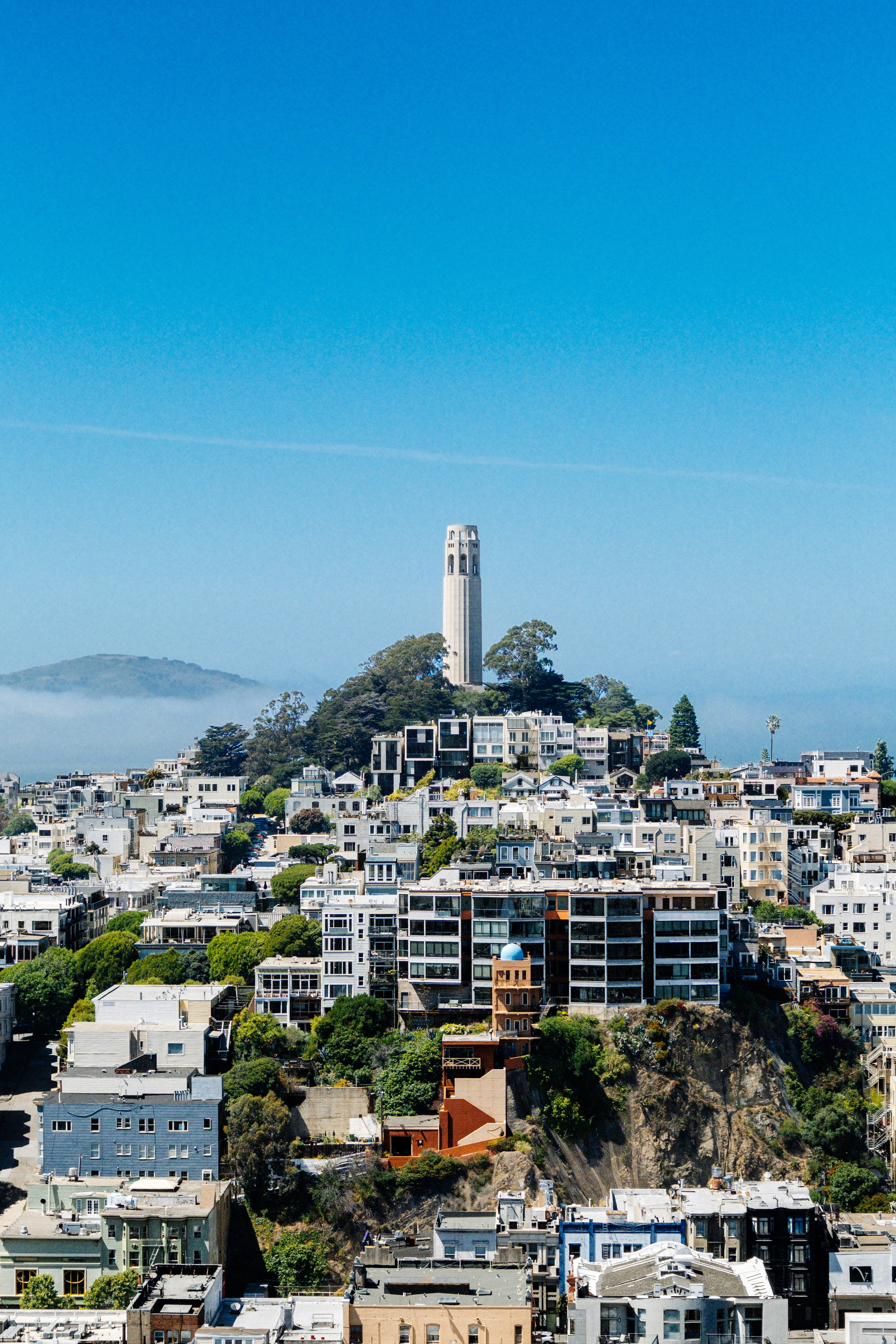 Tower Over the Hills: Coit-View San Francisco Skyline
