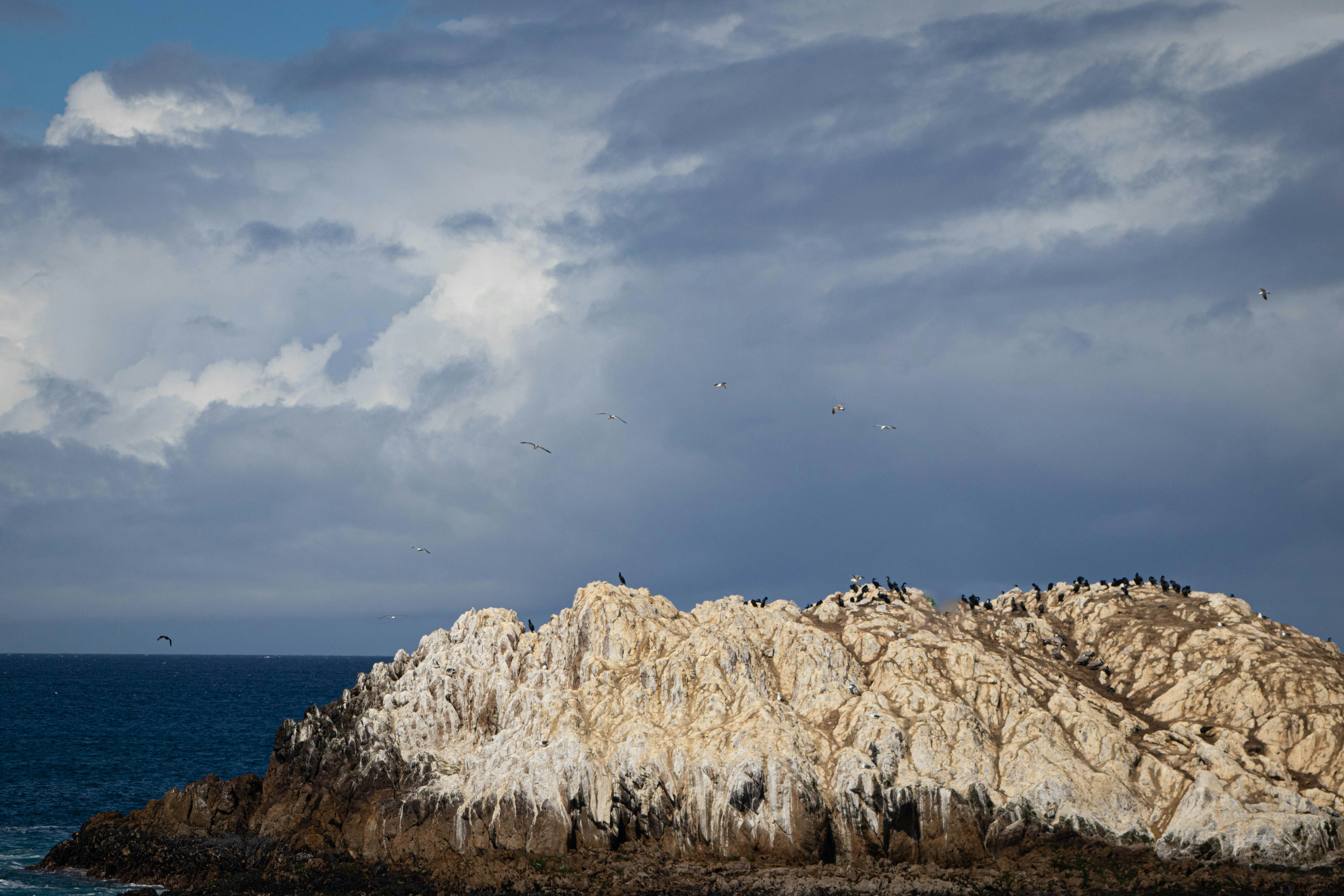 Rocky promontory under a brooding sky with seabirds