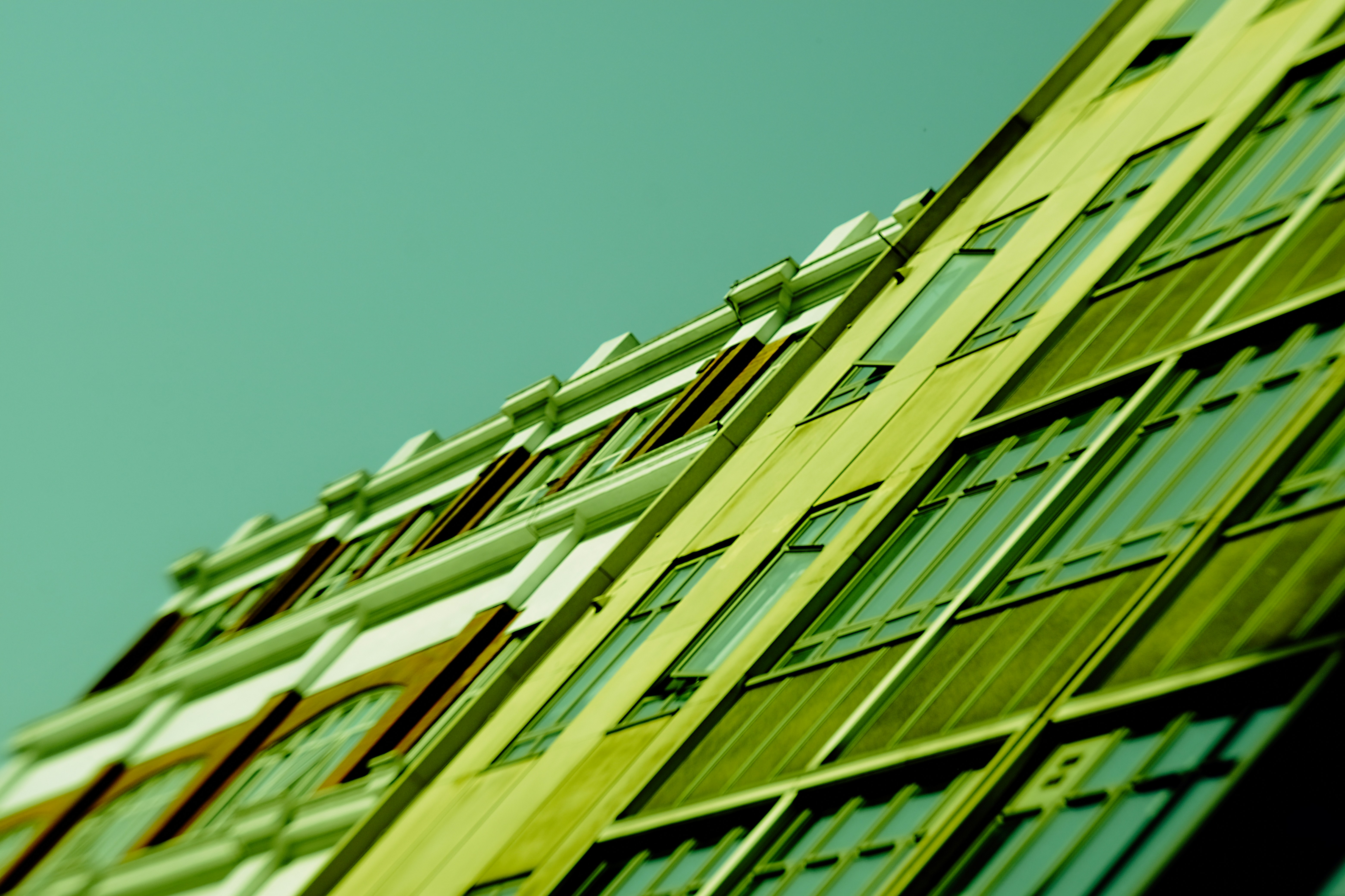 Tilted Glass: Facade Lines Reaching for Light