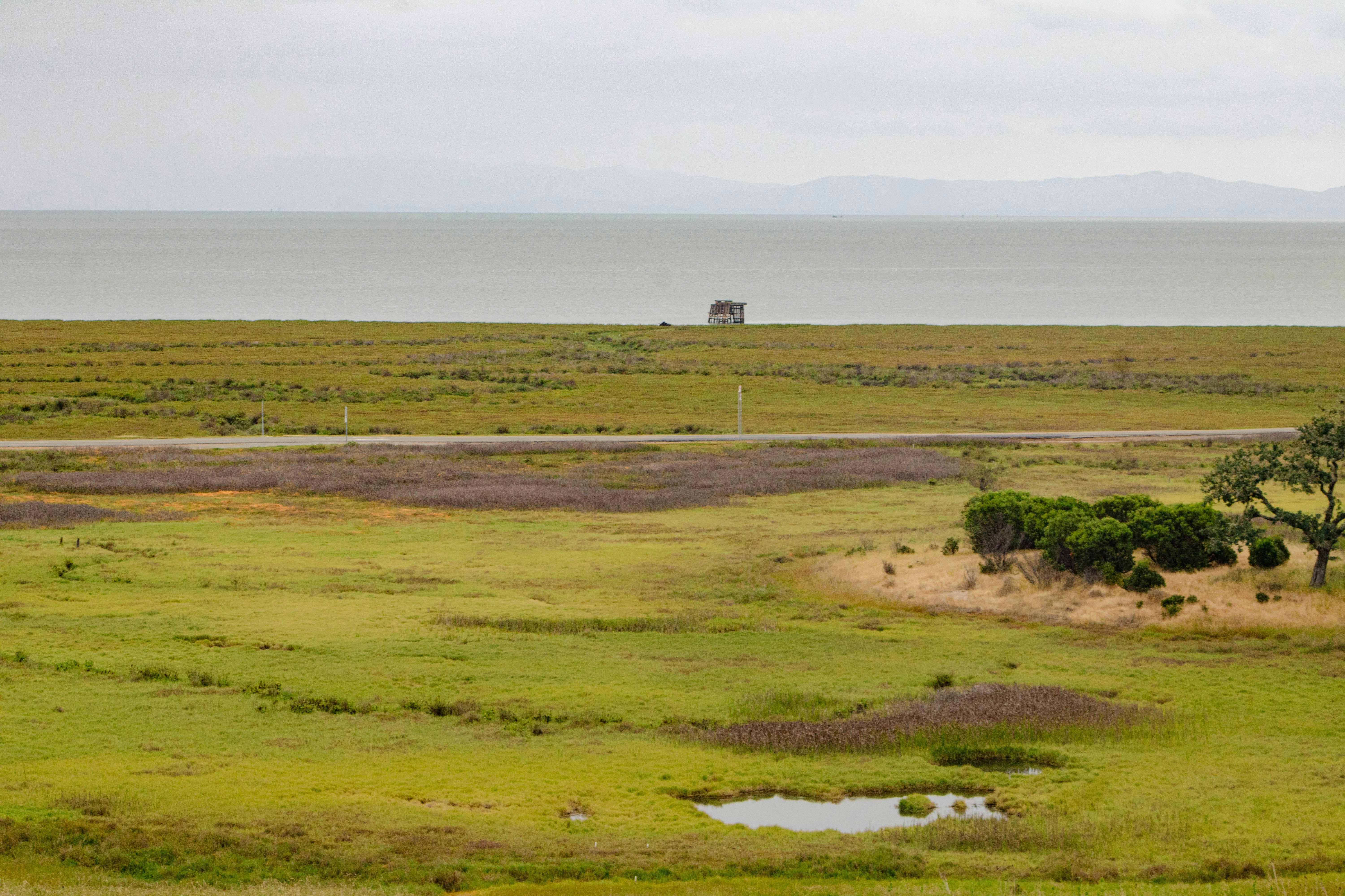 Lonely Watchtower on a Flat Coastal Plain