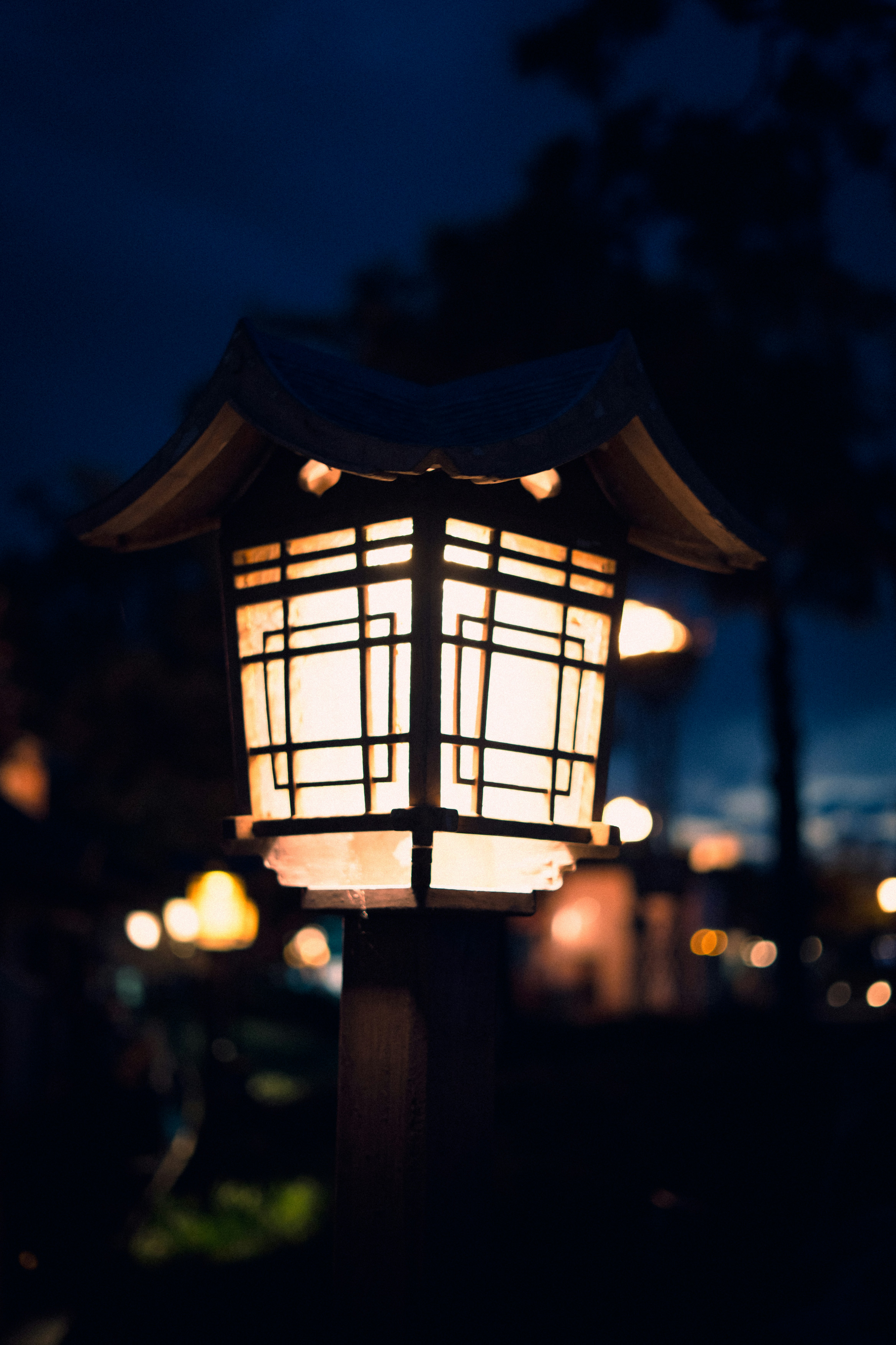 Luminous Lantern in a Quiet Night Garden
