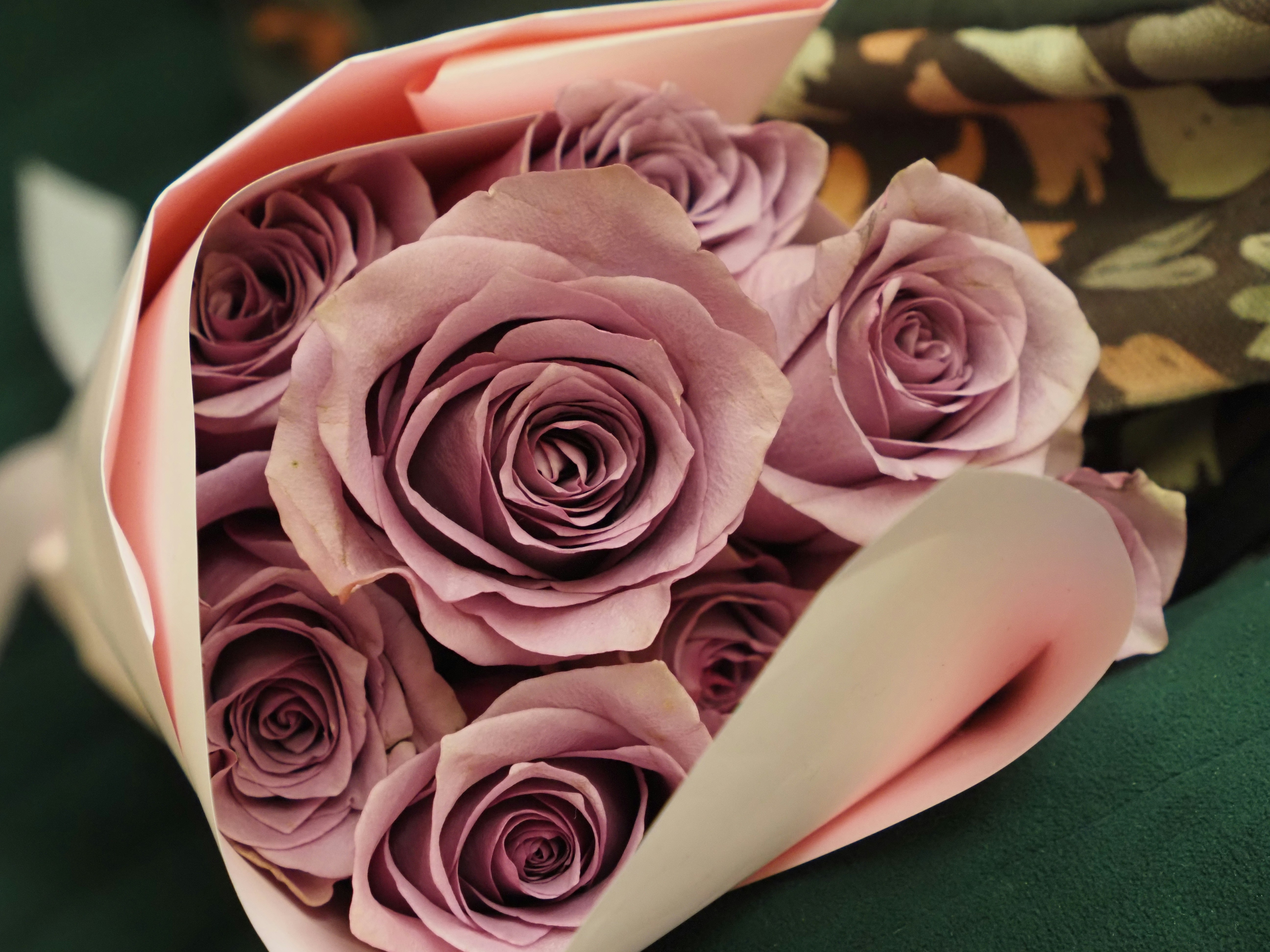 Pink Rosettes: A Bouquet of Soft Delicacy Wrapped in Pastel Paper