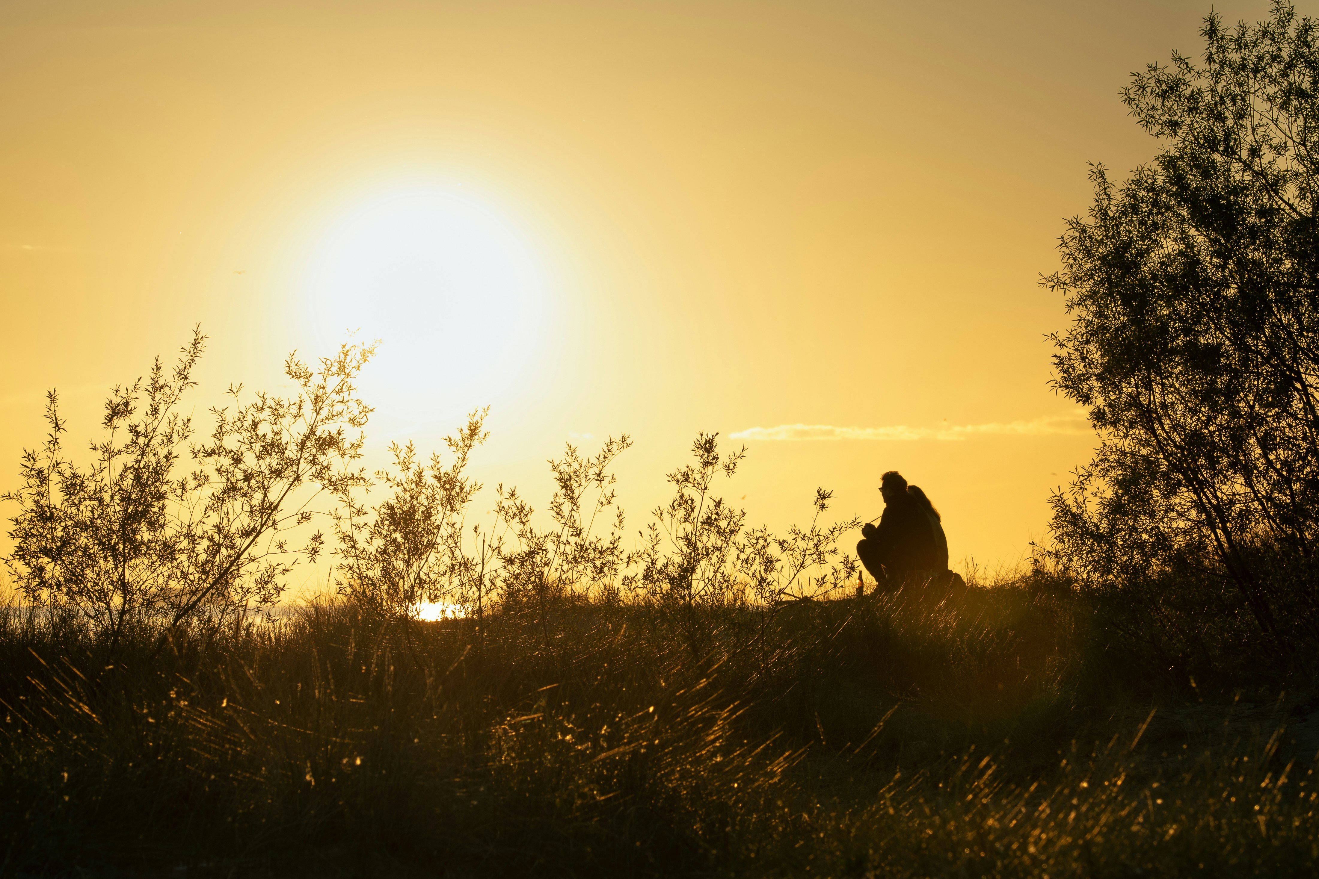 Silhouette at Sunset: A Quiet Moment on the Hill