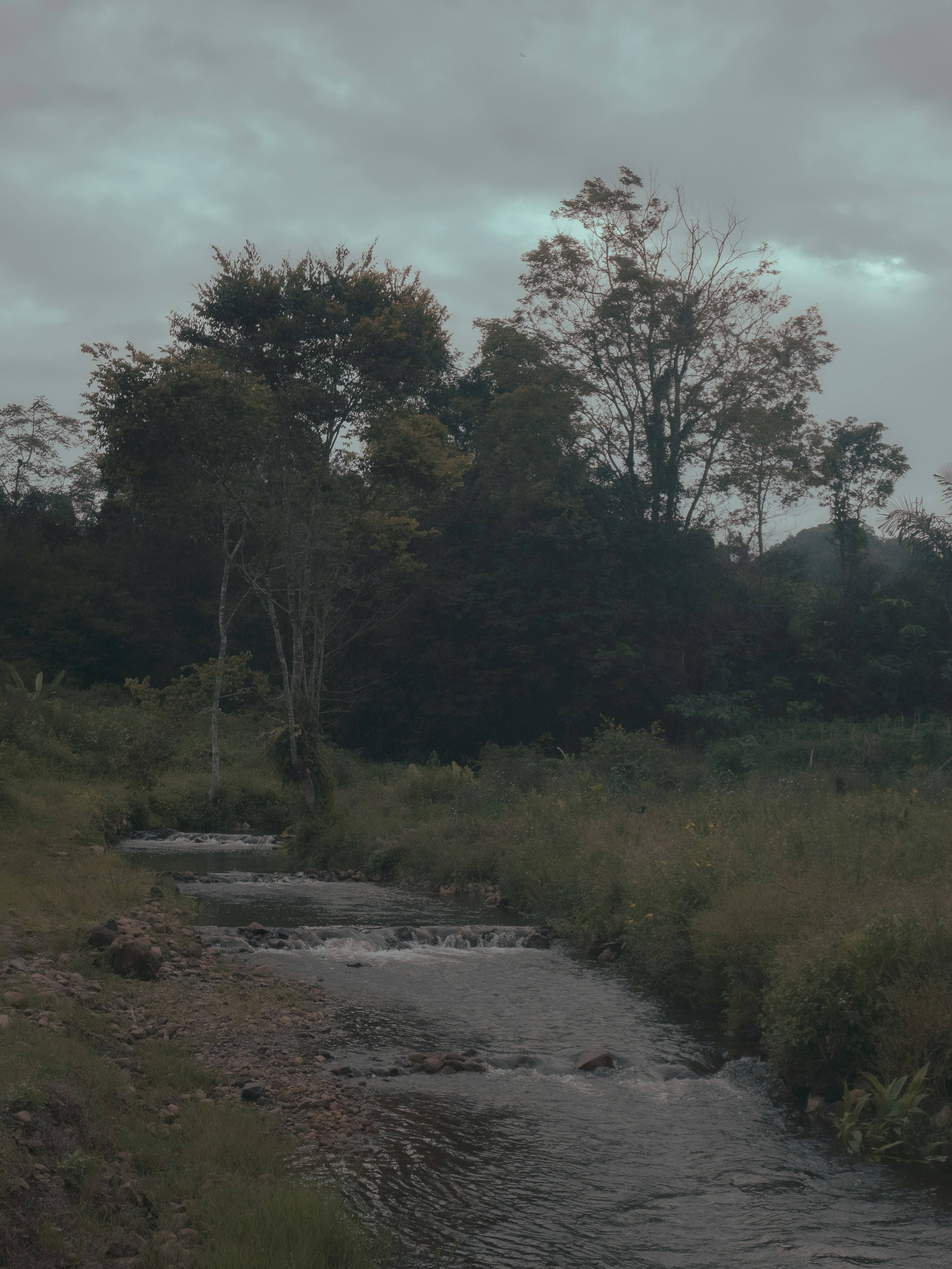 River Bend Silhouettes under Overcast Sky