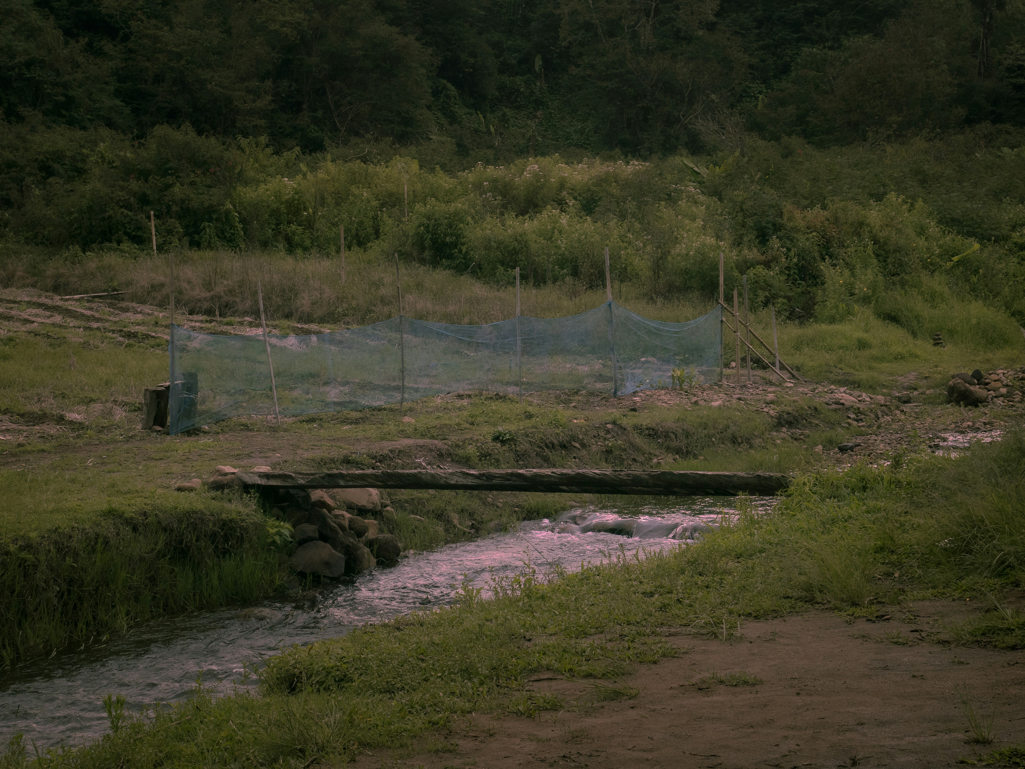 Quiet Creek Crossing under a Fenced Field