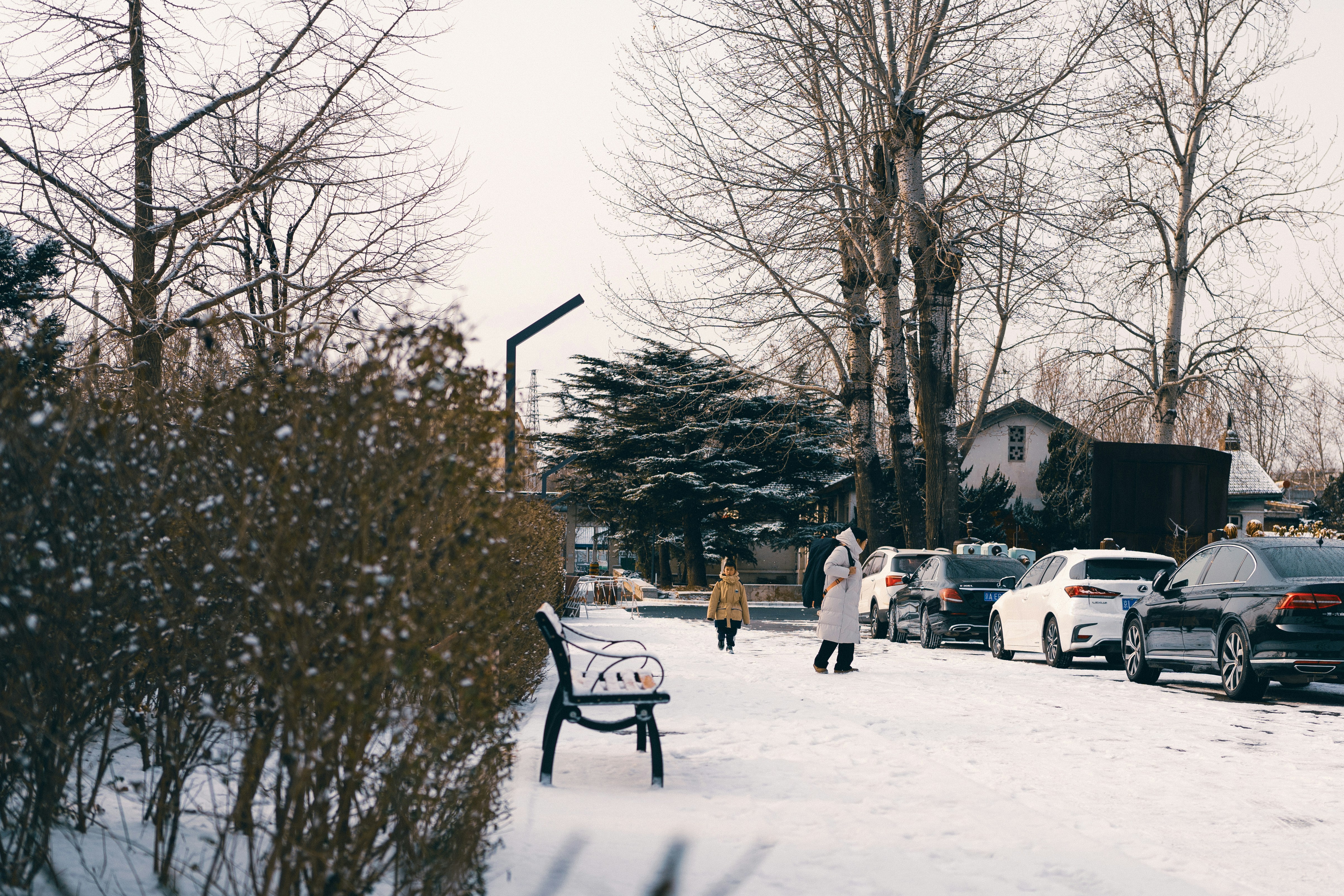 Winter Quiet: Footsteps and Parked Cars on Snowy Avenue