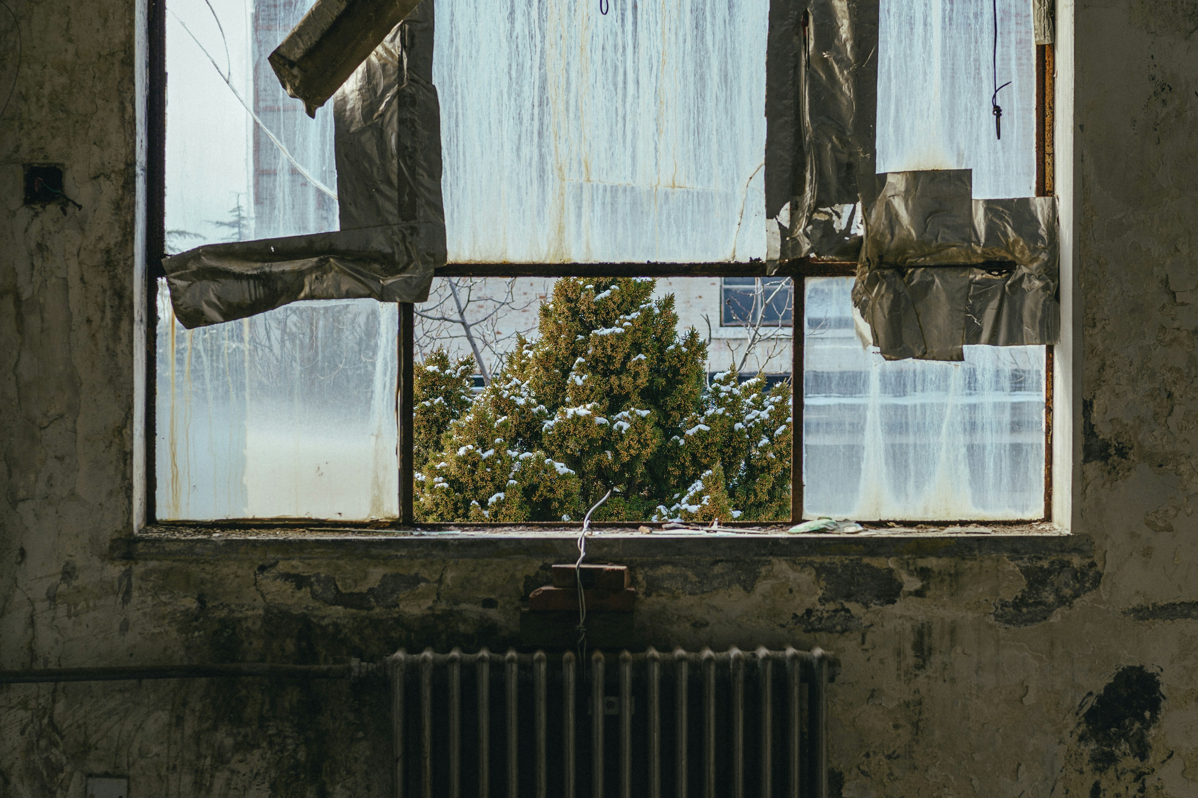 Broken Window Windowbox: A Snowy Tree Peeking Through