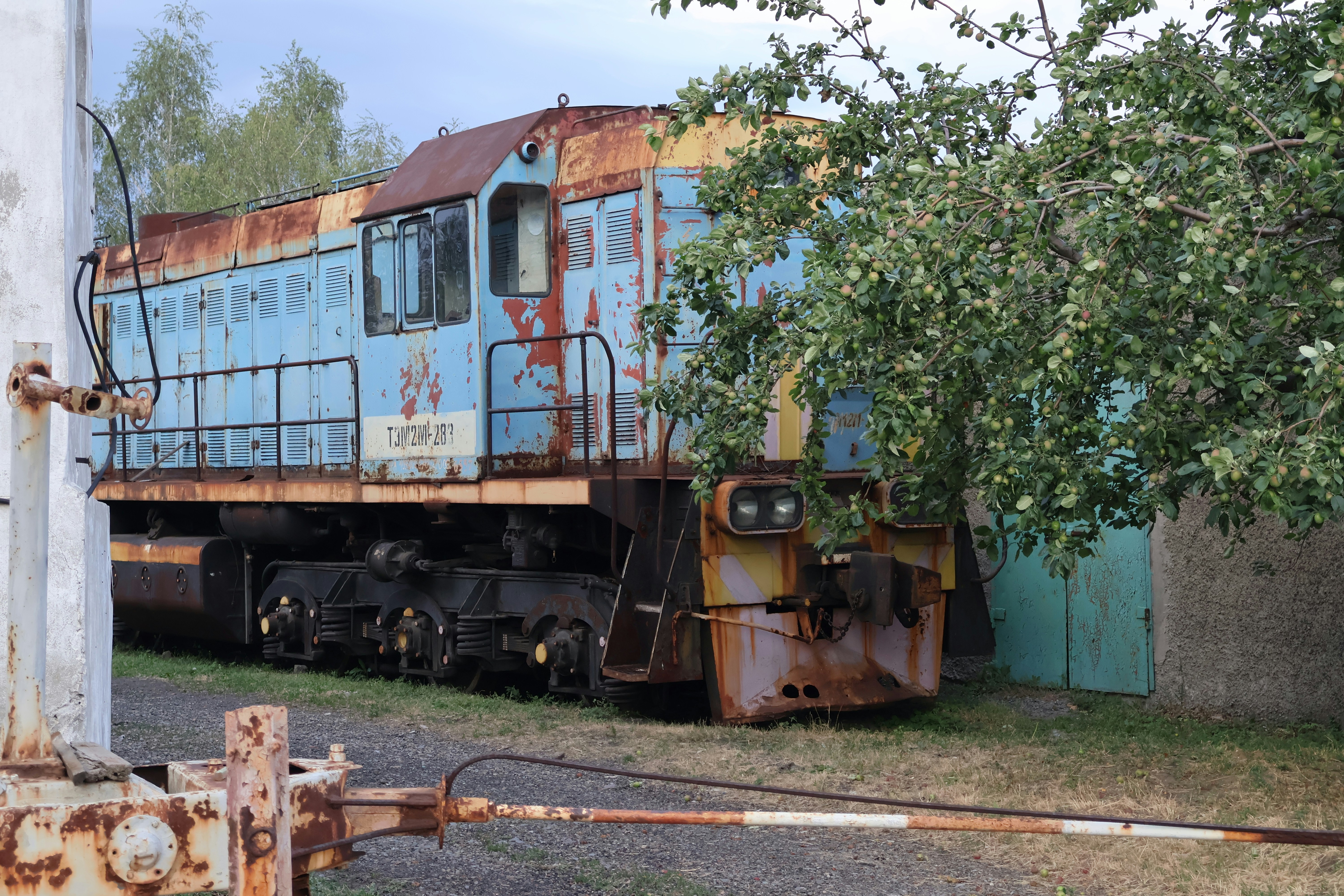 Rust-and-Blue Locomotive in Quiet Yard