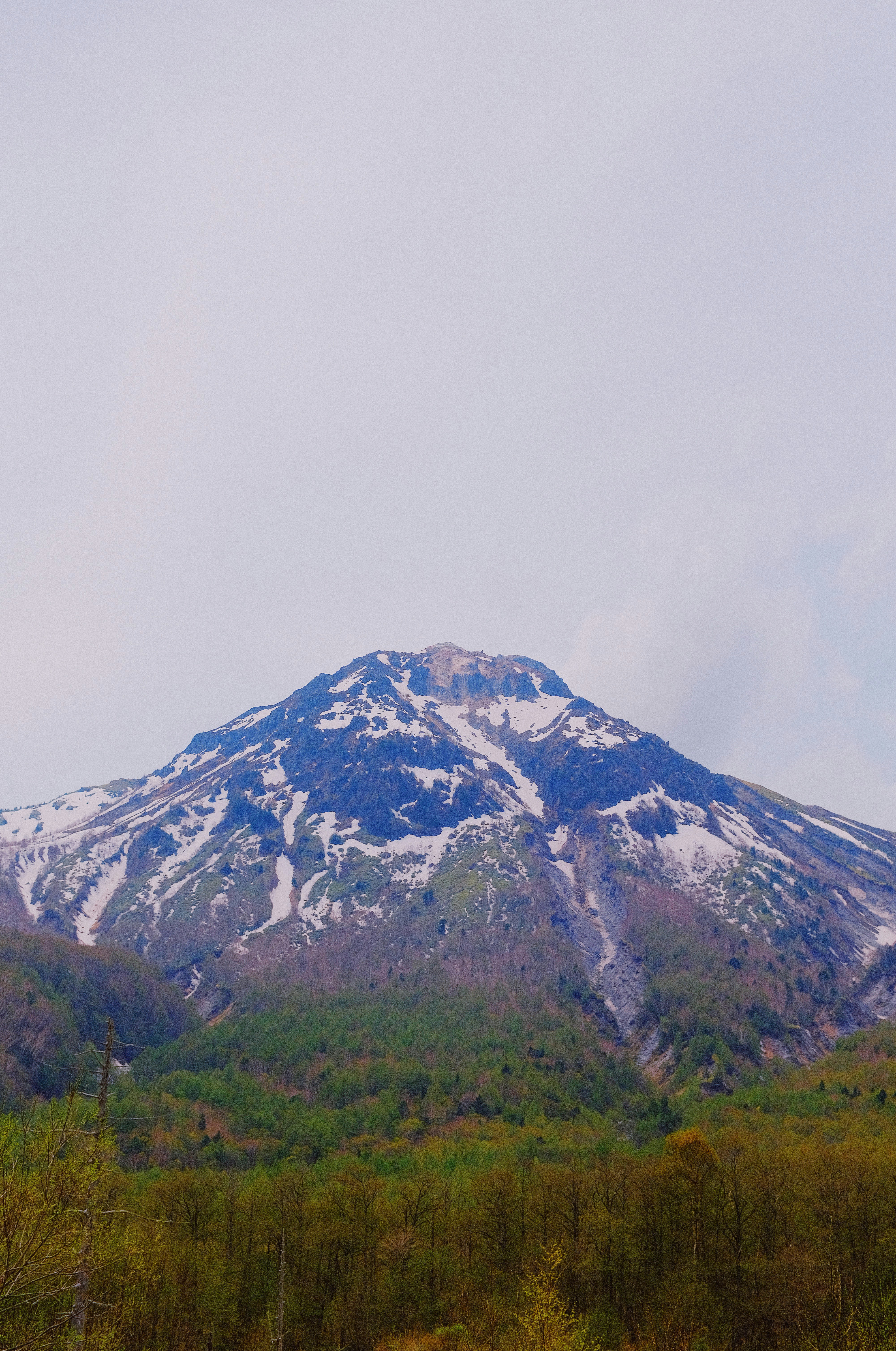 Snow-capped Summit Rising Above a Forested Foothill