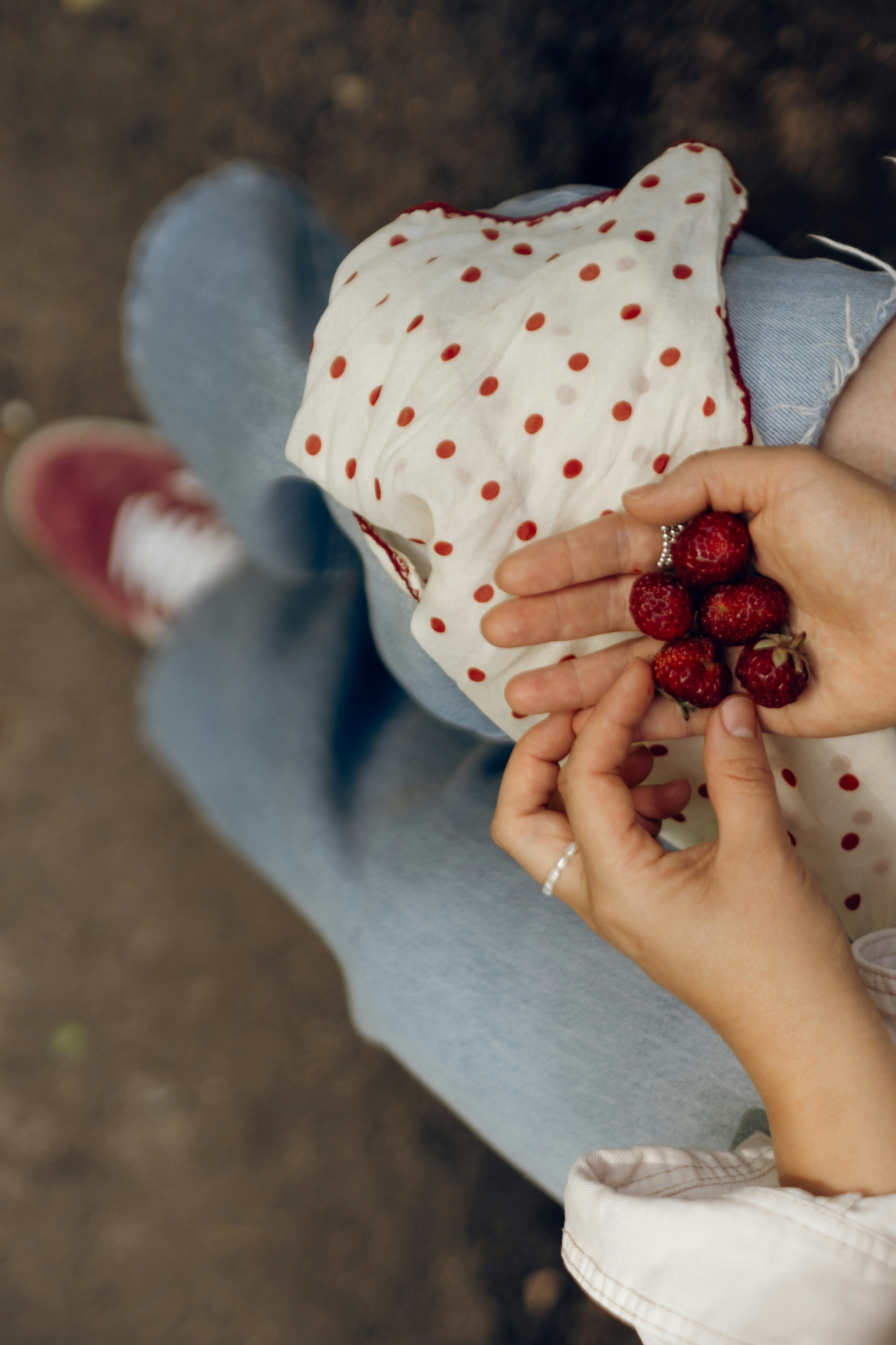 Person holding fresh strawberries in a white polka-dot cloth.